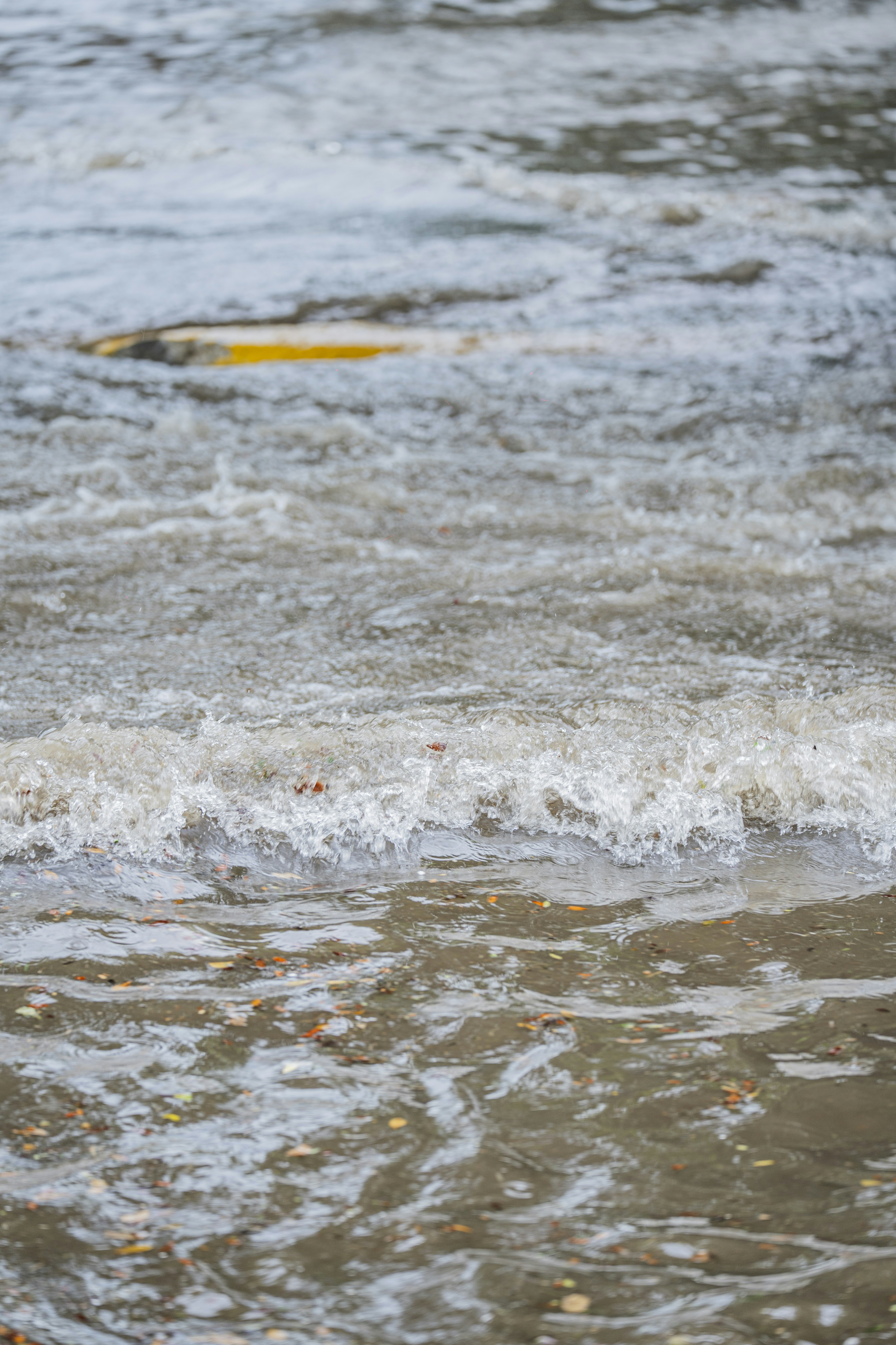 Submerged Foliage Beneath Gentle Breakers