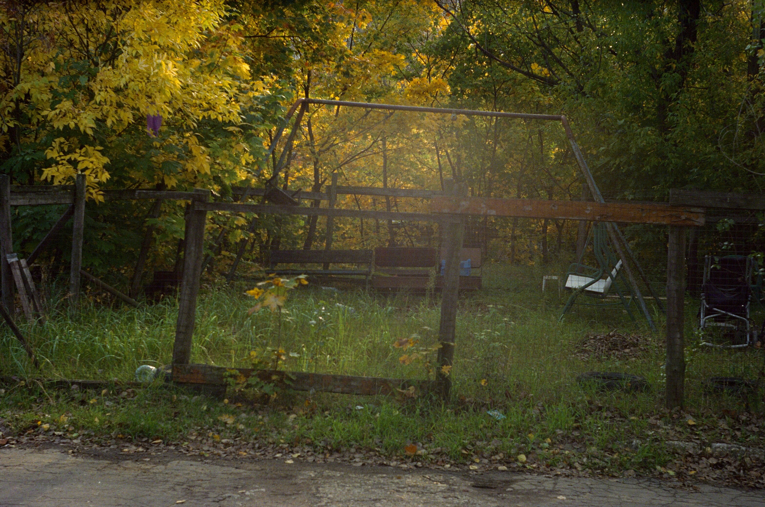 Hidden Playground Gate Surrounded by Autumn Foliage