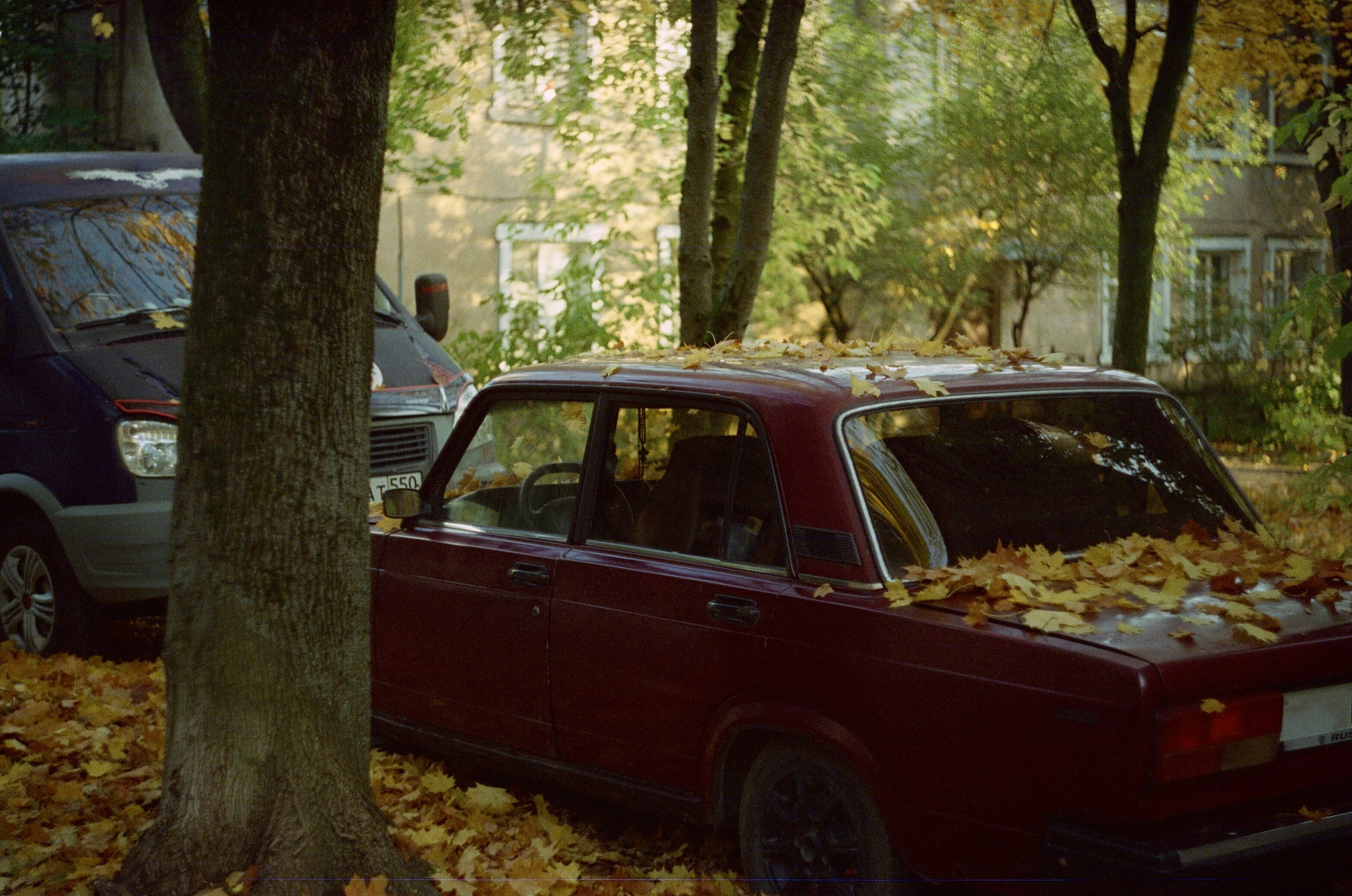 A maroon or dark red sedan parked on a street completely covered in fallen yellow autumn leaves. The car's roof, trunk, and windshield are blanketed with leaves, blending it into the seasonal landscape. A thick tree trunk stands in the left foreground, while a dark blue van is parked just behind it. In the background, a light-colored building and tall trees with golden foliage complete the quiet, picturesque autumn scene.