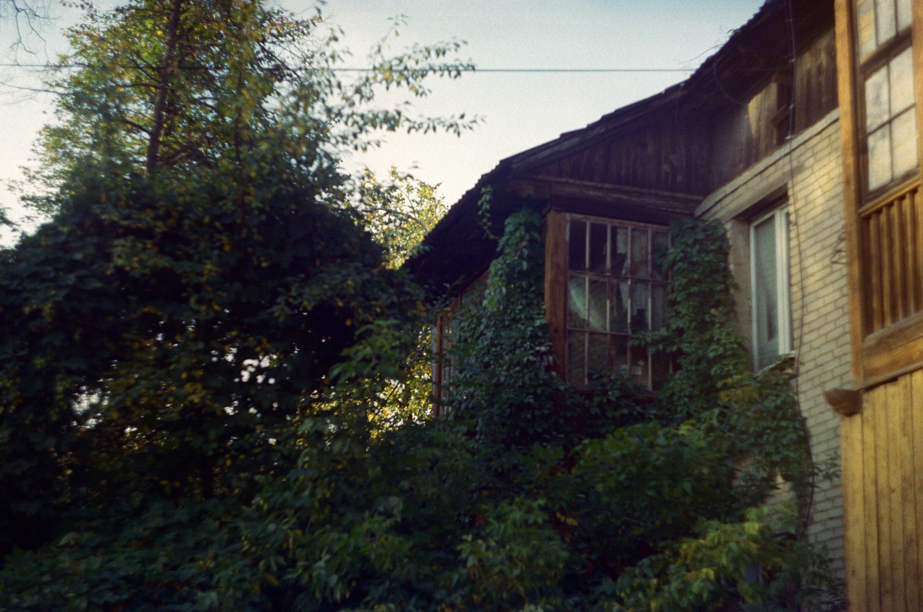 Overgrown Window: Sunlit Gables and Ivy-clad Brick