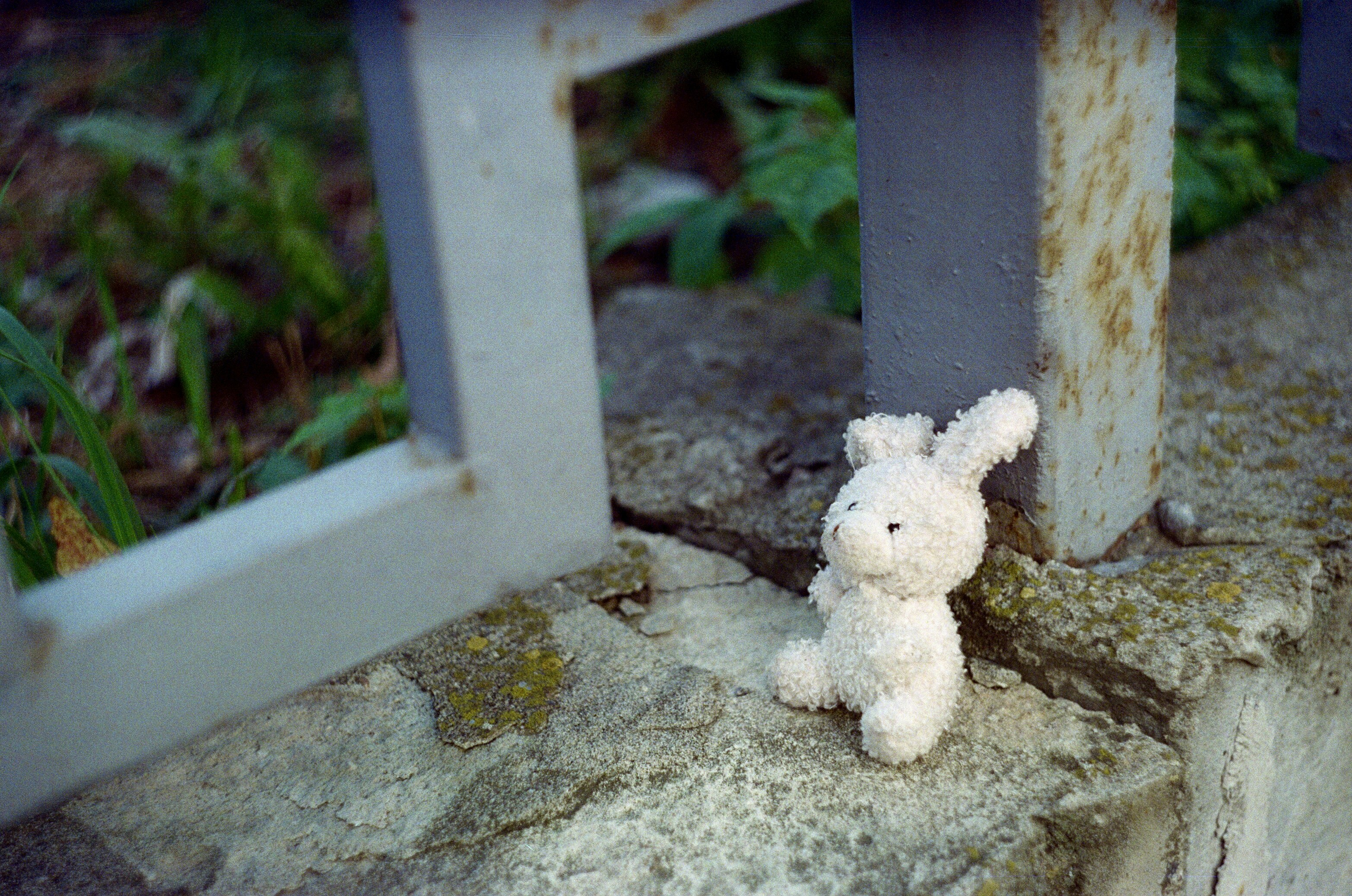 Tiny Plush Guardian on Weathered Steps