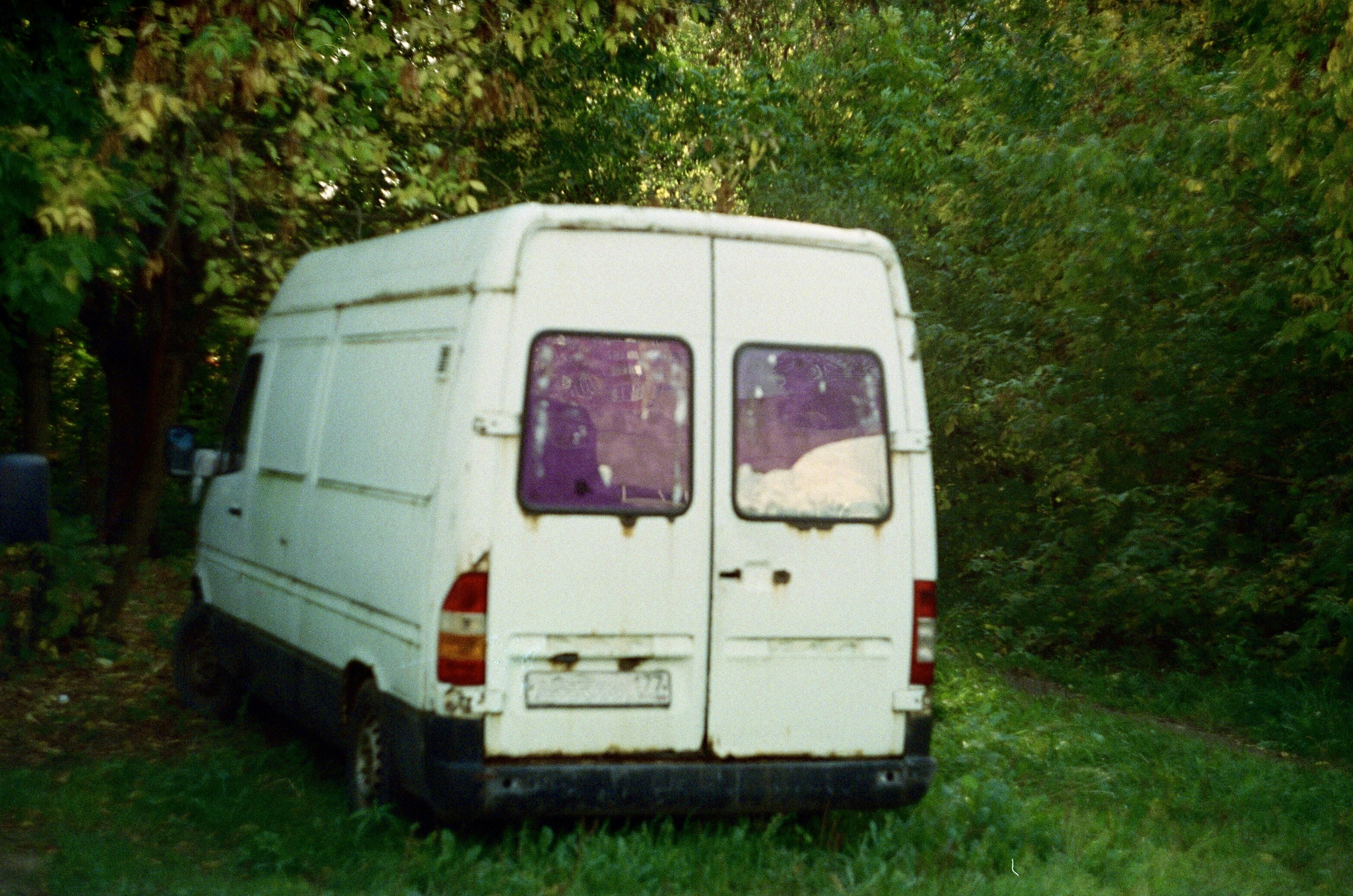 Overgrown Roadside: A White Cargo Van Resting in a Green Patch