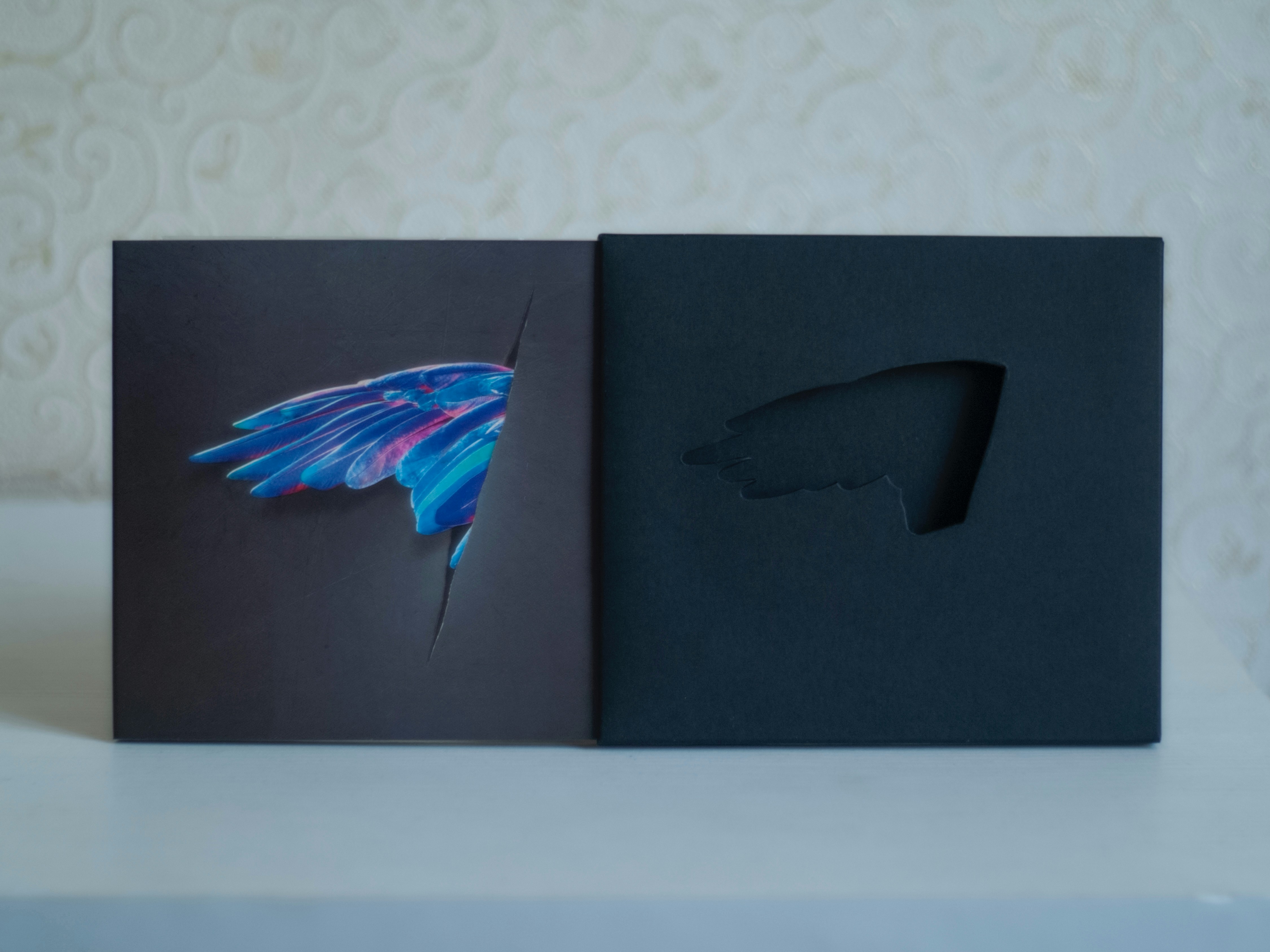 Winged Fragment: A Pair of Dark Books with a Glowing Blue Accent