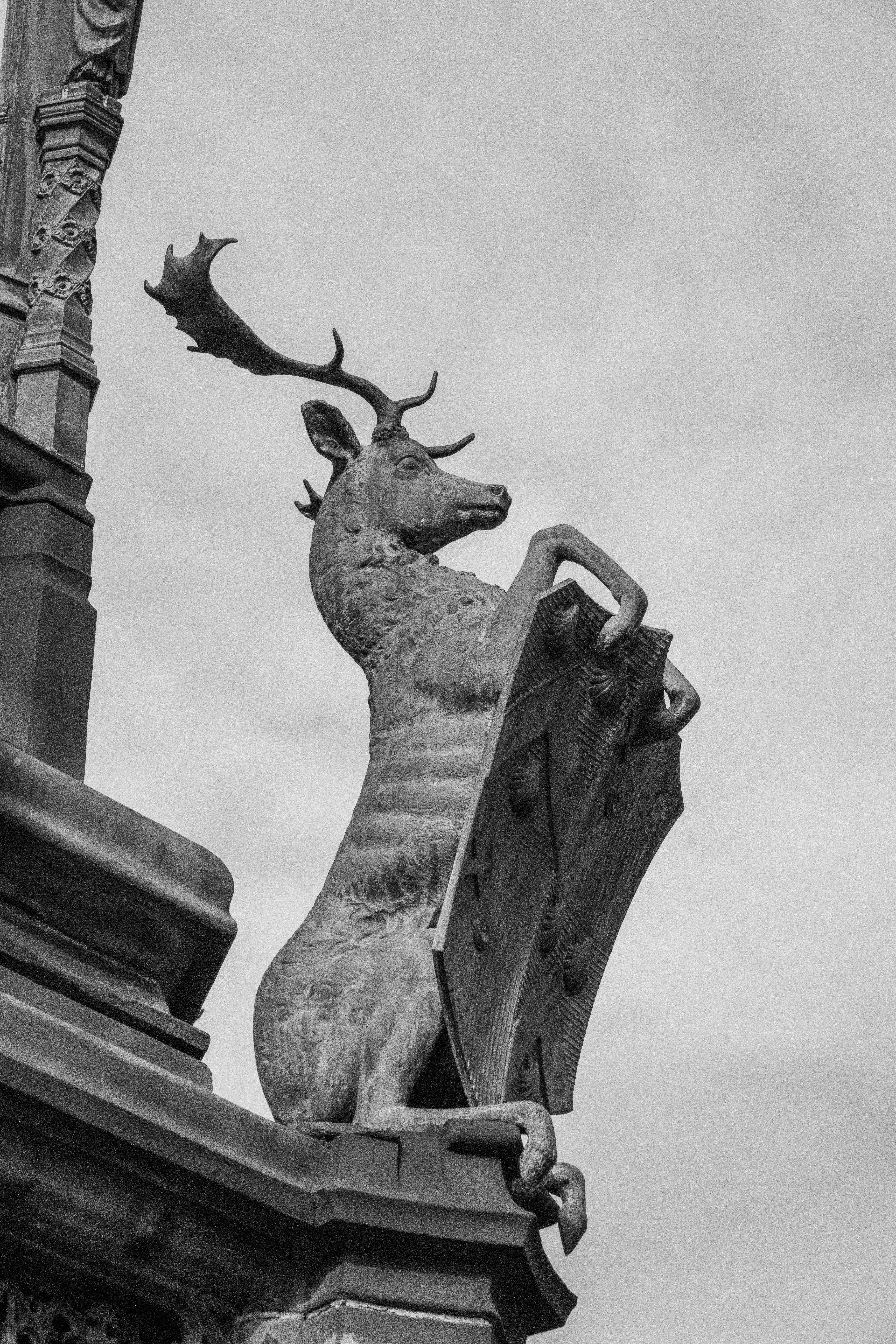 Stone Stag Guarding the Crest