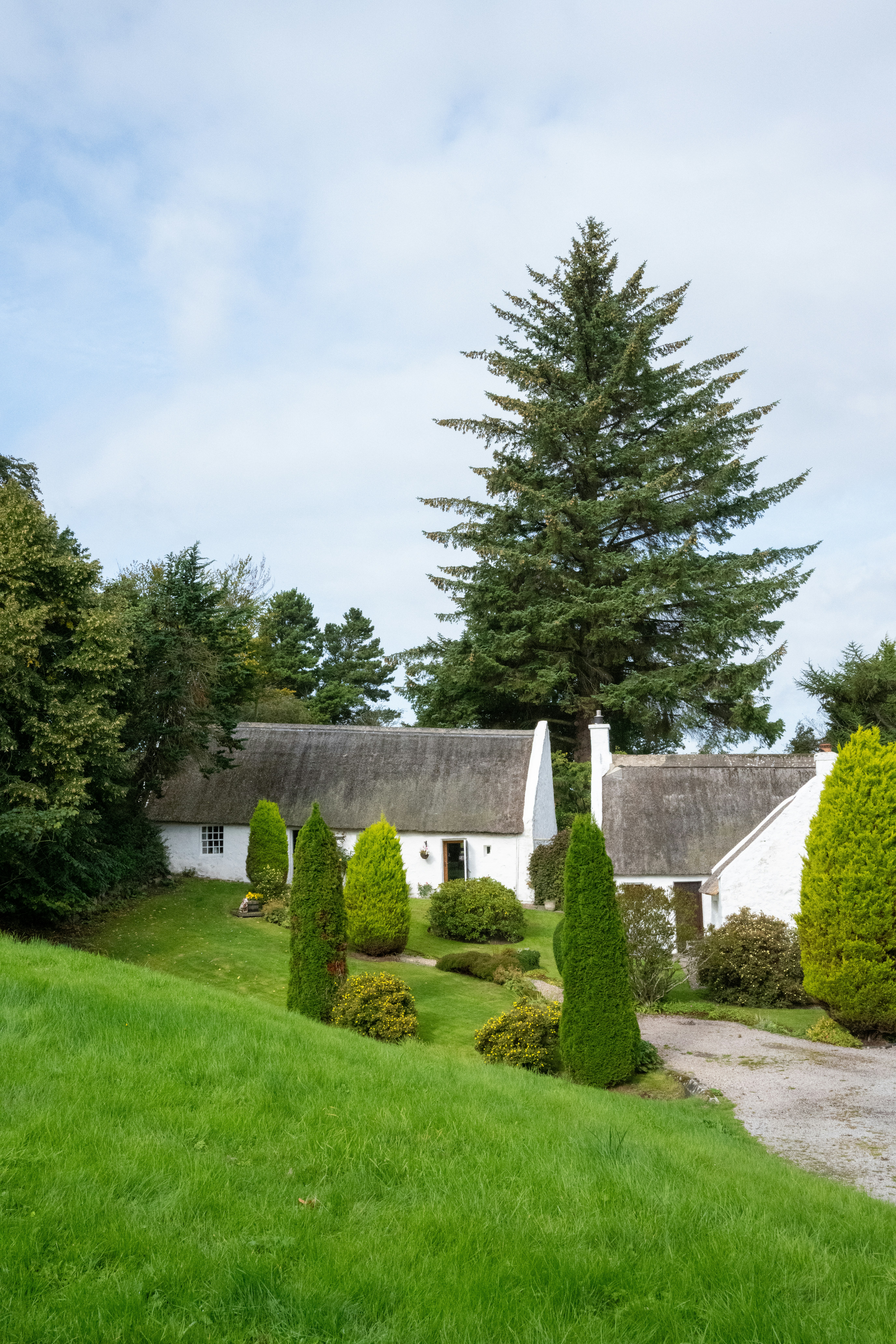 Cottage Garden Approach: Trimmed Trees and White-Walled Lane