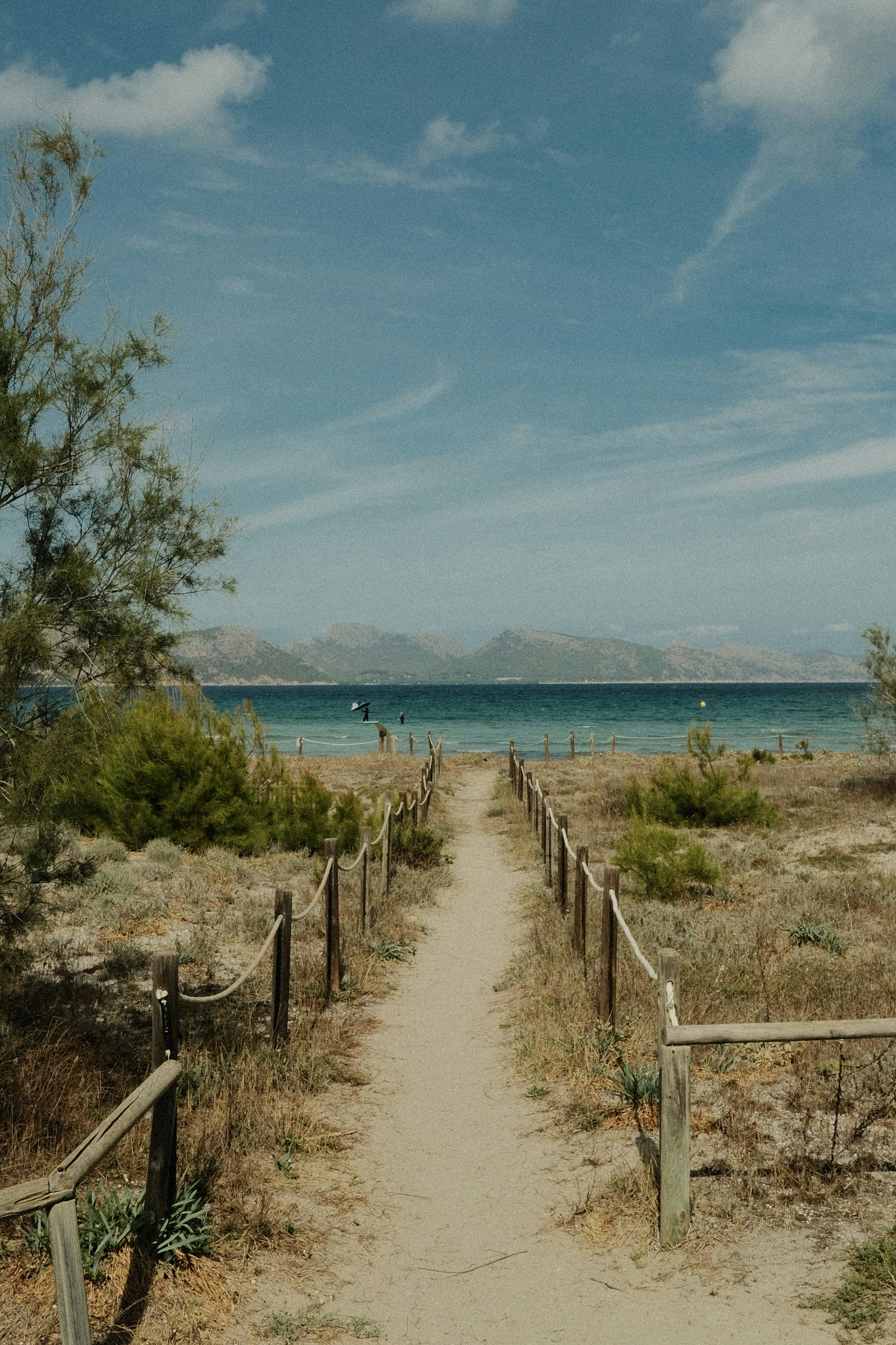 Path to the Sea: A Sunlit Corridor to the Horizon