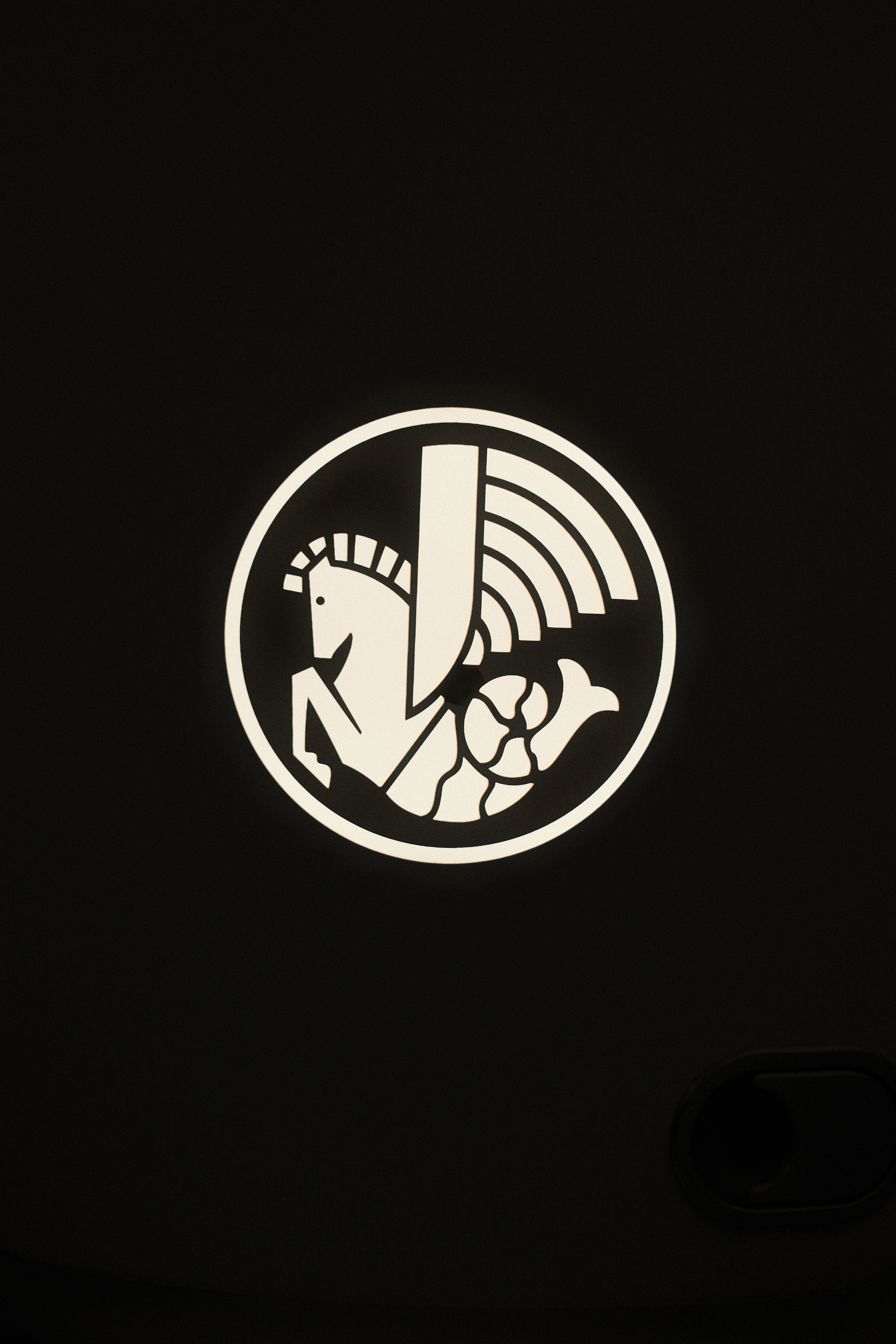 Emblem in Circular Light: A Minimalist Crest on Dark Canvas