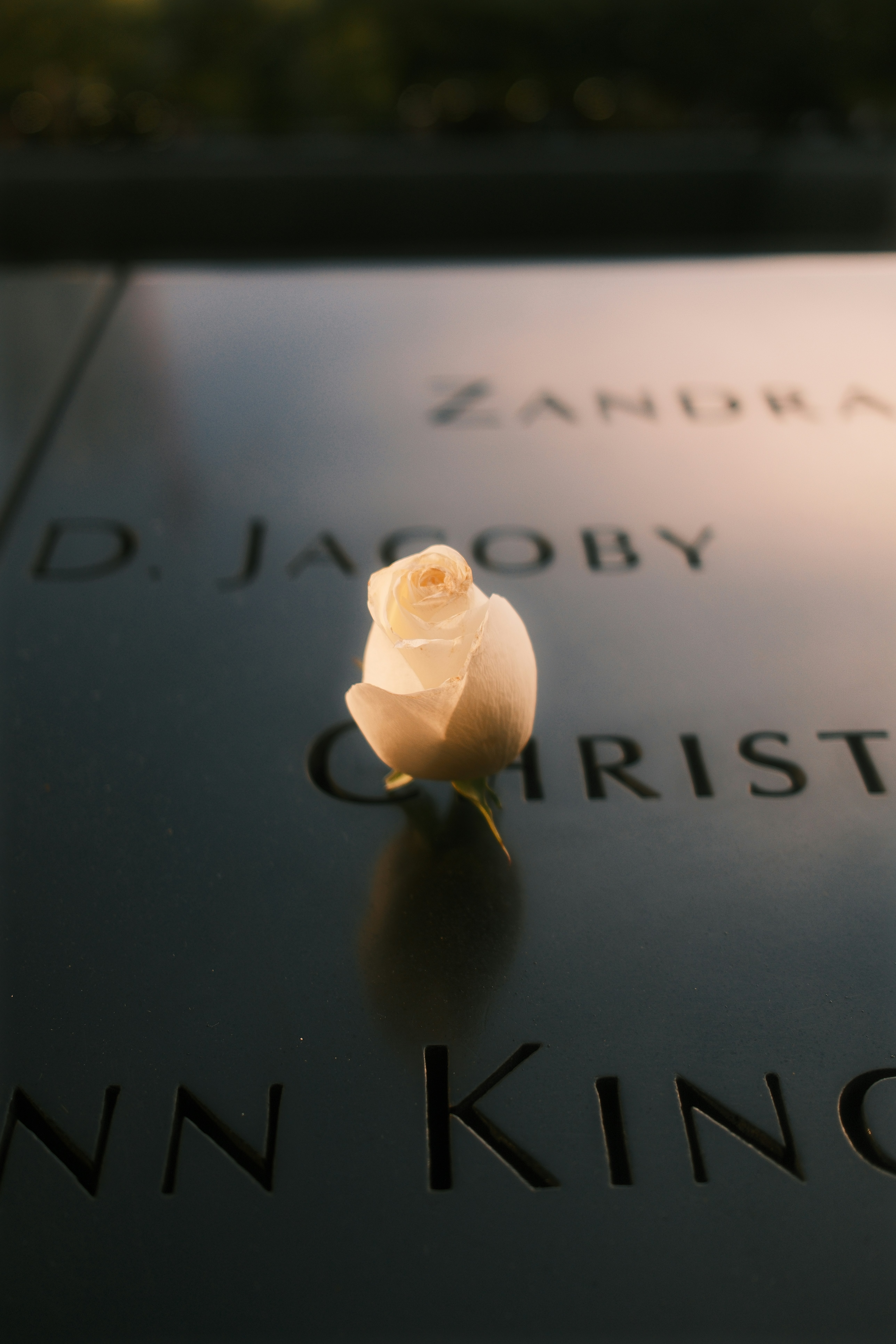 Single Rose Upon a Sacred Stone
