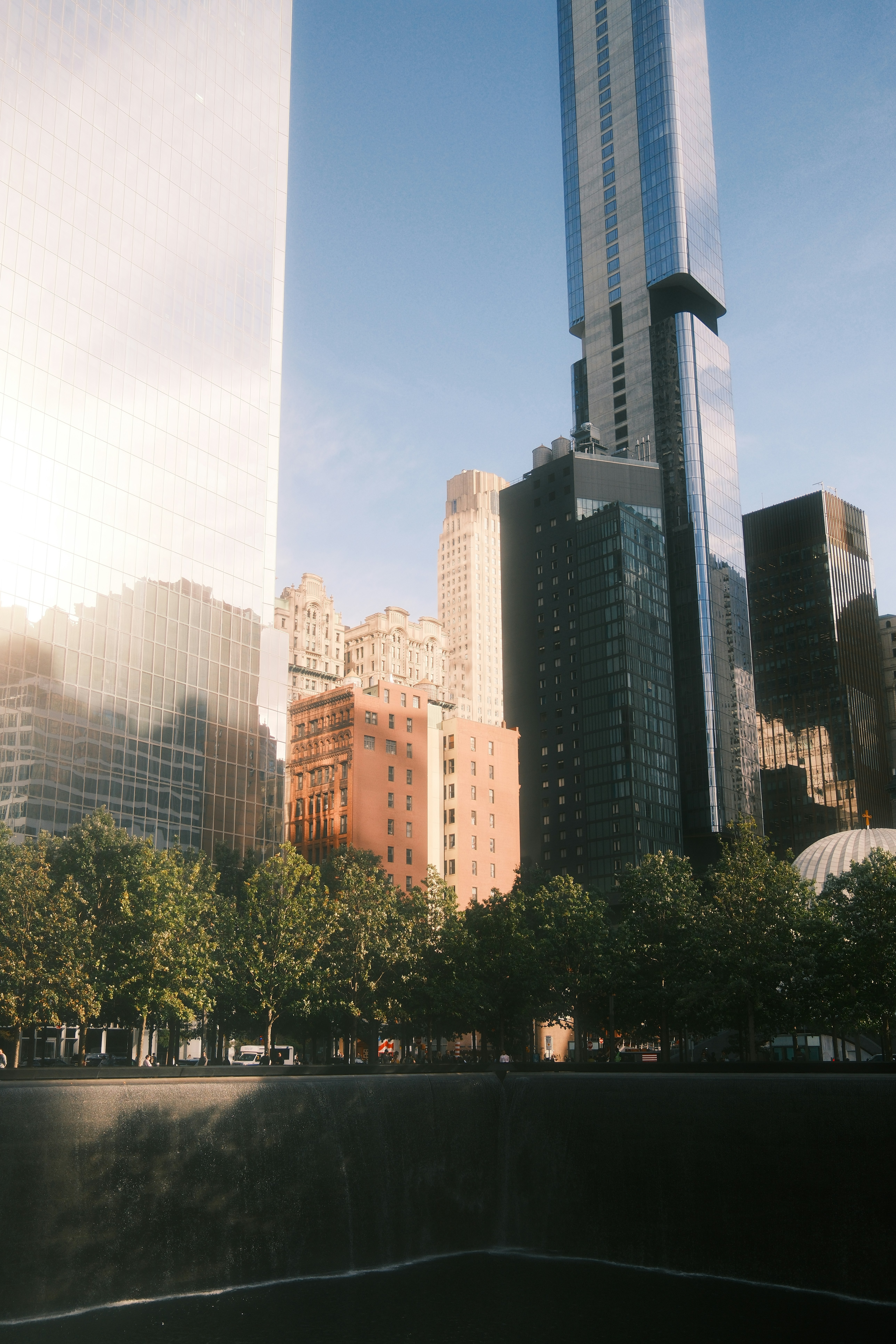 Sunlit Skyscrapers Rise Over a Tree-Lined Plaza