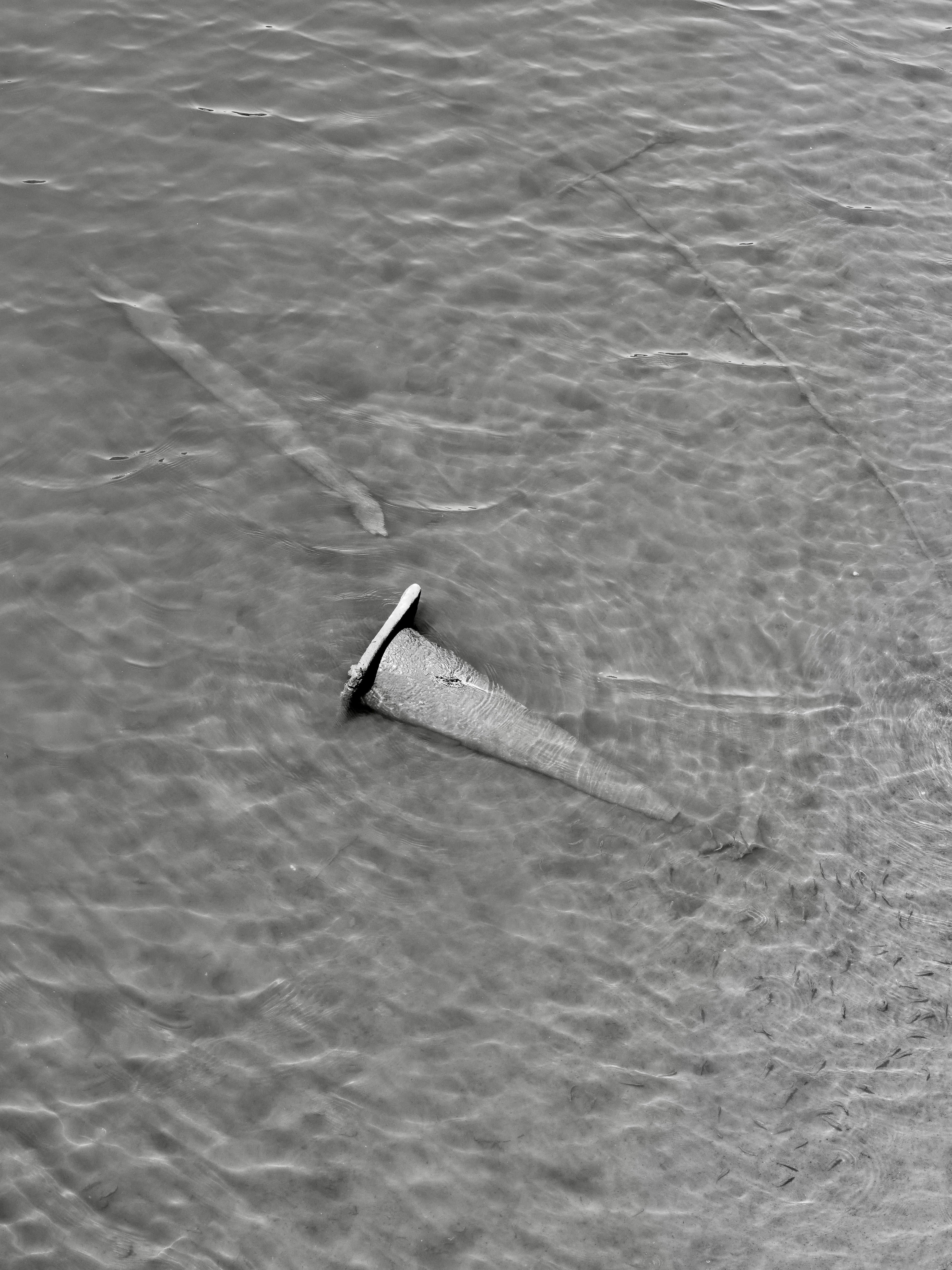 Desaturated Tide: A Weathered Nail in Sand-Line