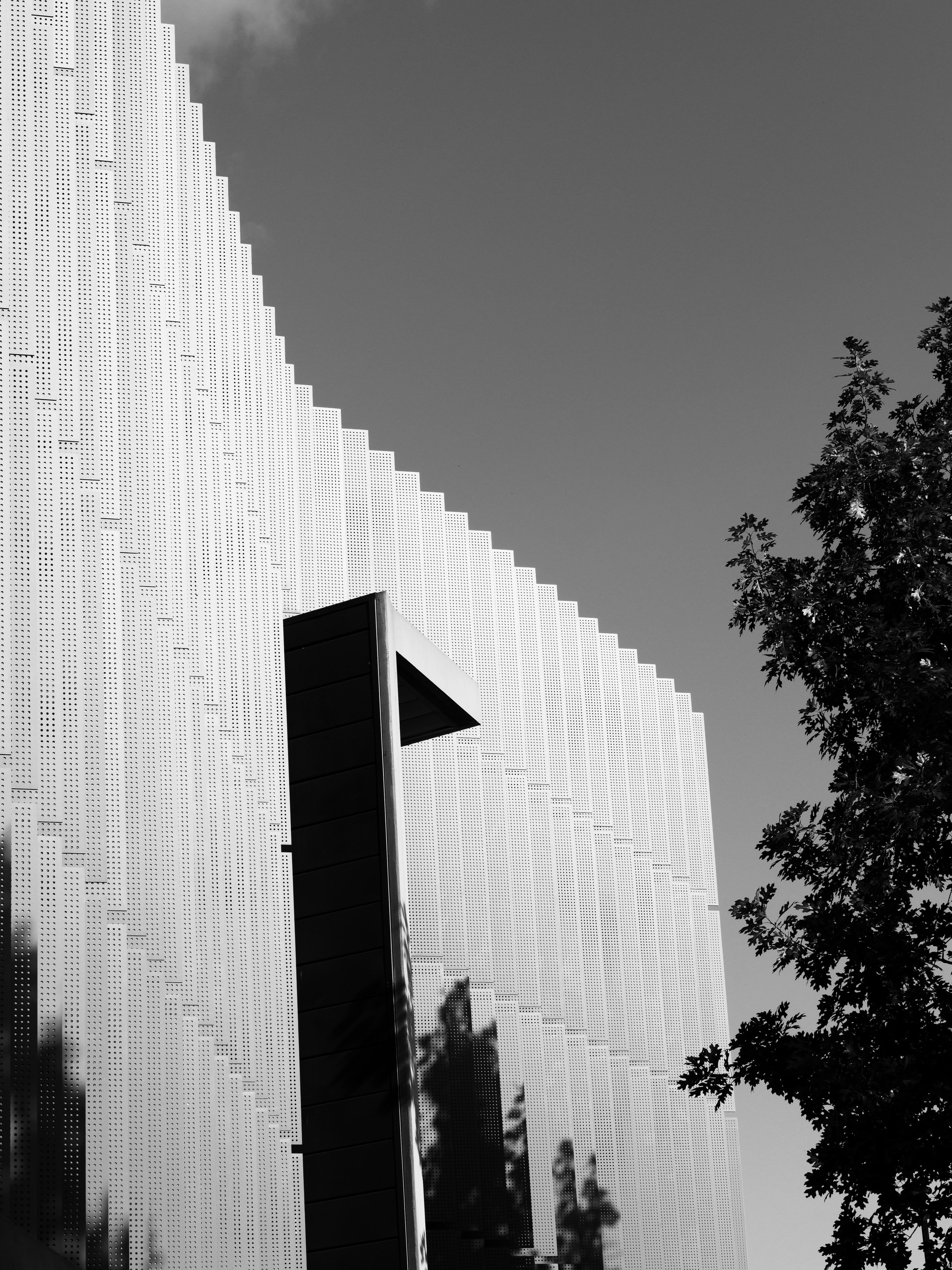Vertical Rhythm: The Facade Slicing into the Sky