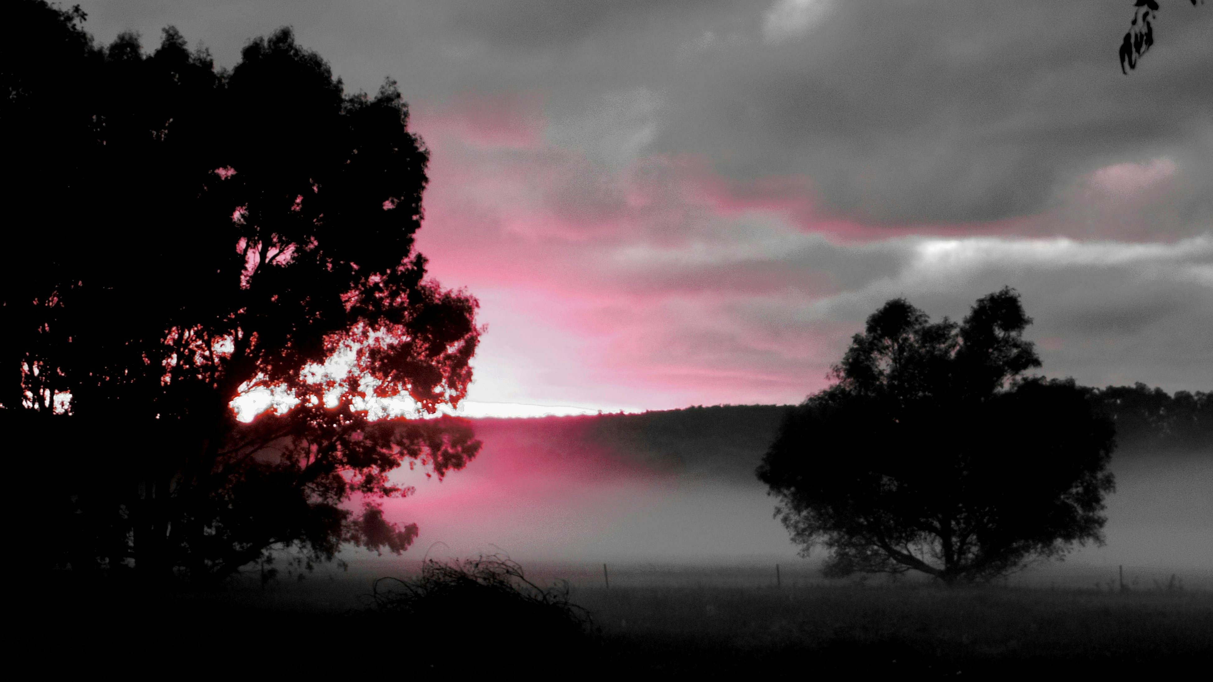 Dawn Breaks Through Fog Over a Quiet Field