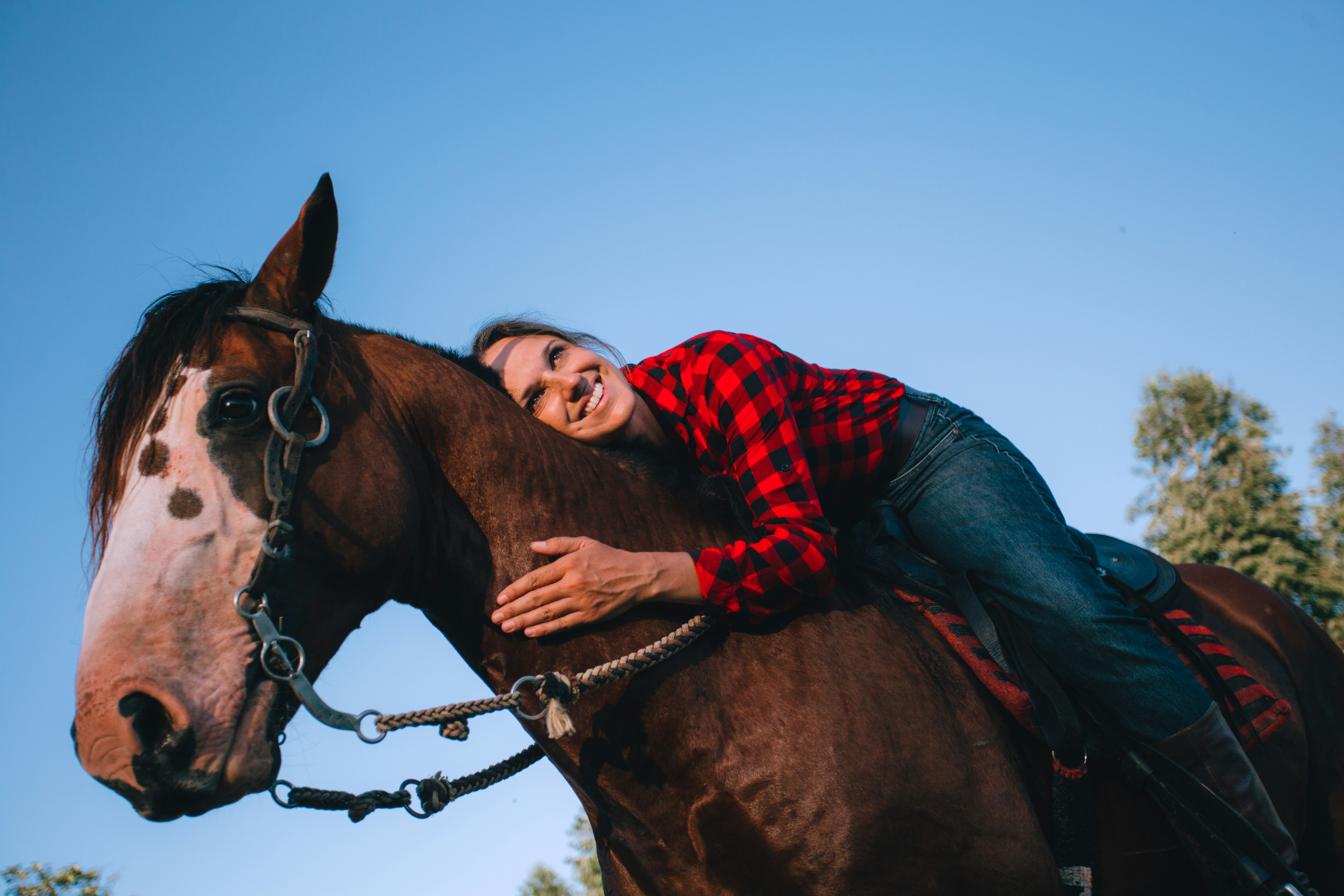 Joyful Ride: A Girl Hugging a Horse Beneath a Clear Sky