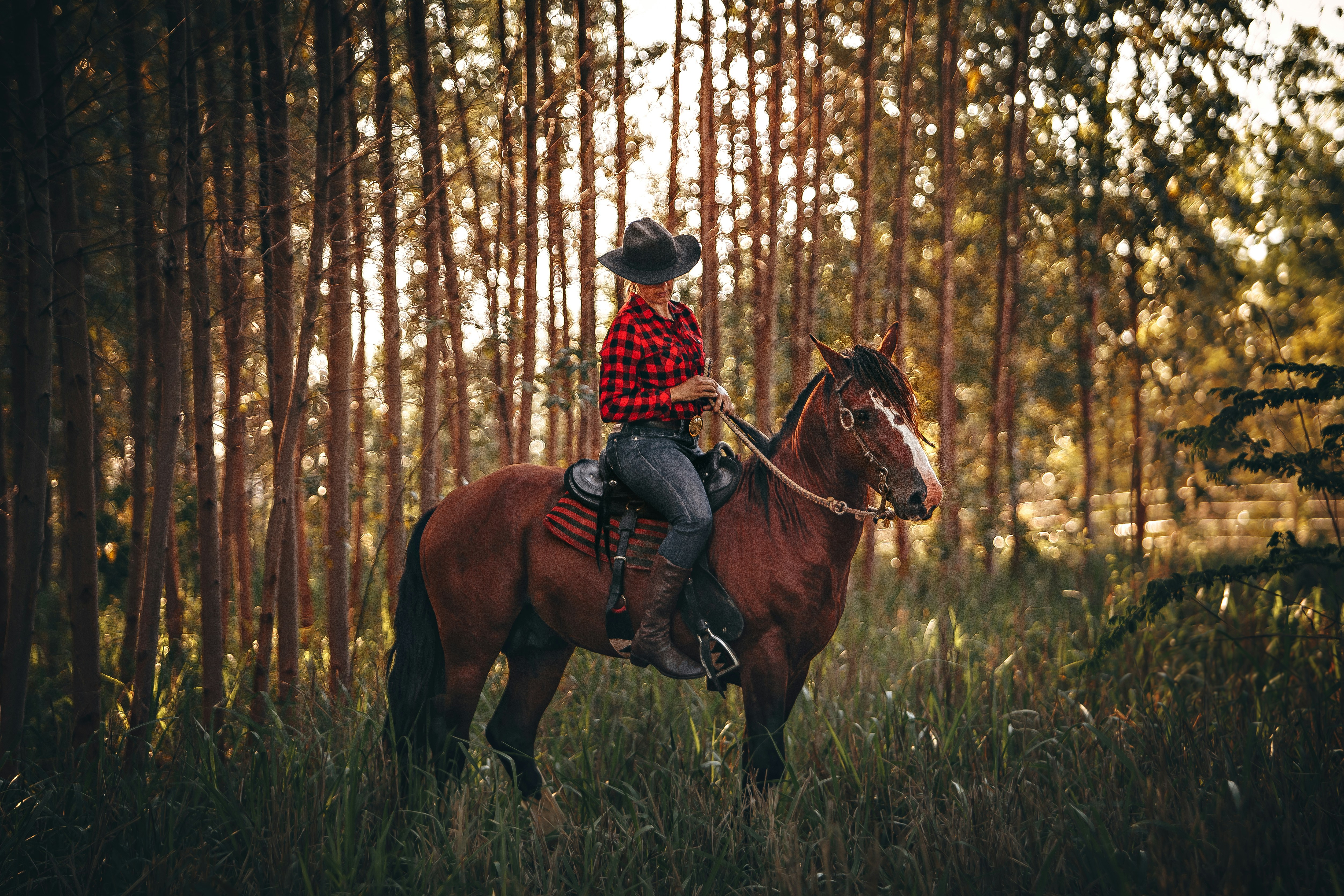 Rider in a Red Plaid shirt Guiding a Chestnut Horse Through Quiet Pine Forest