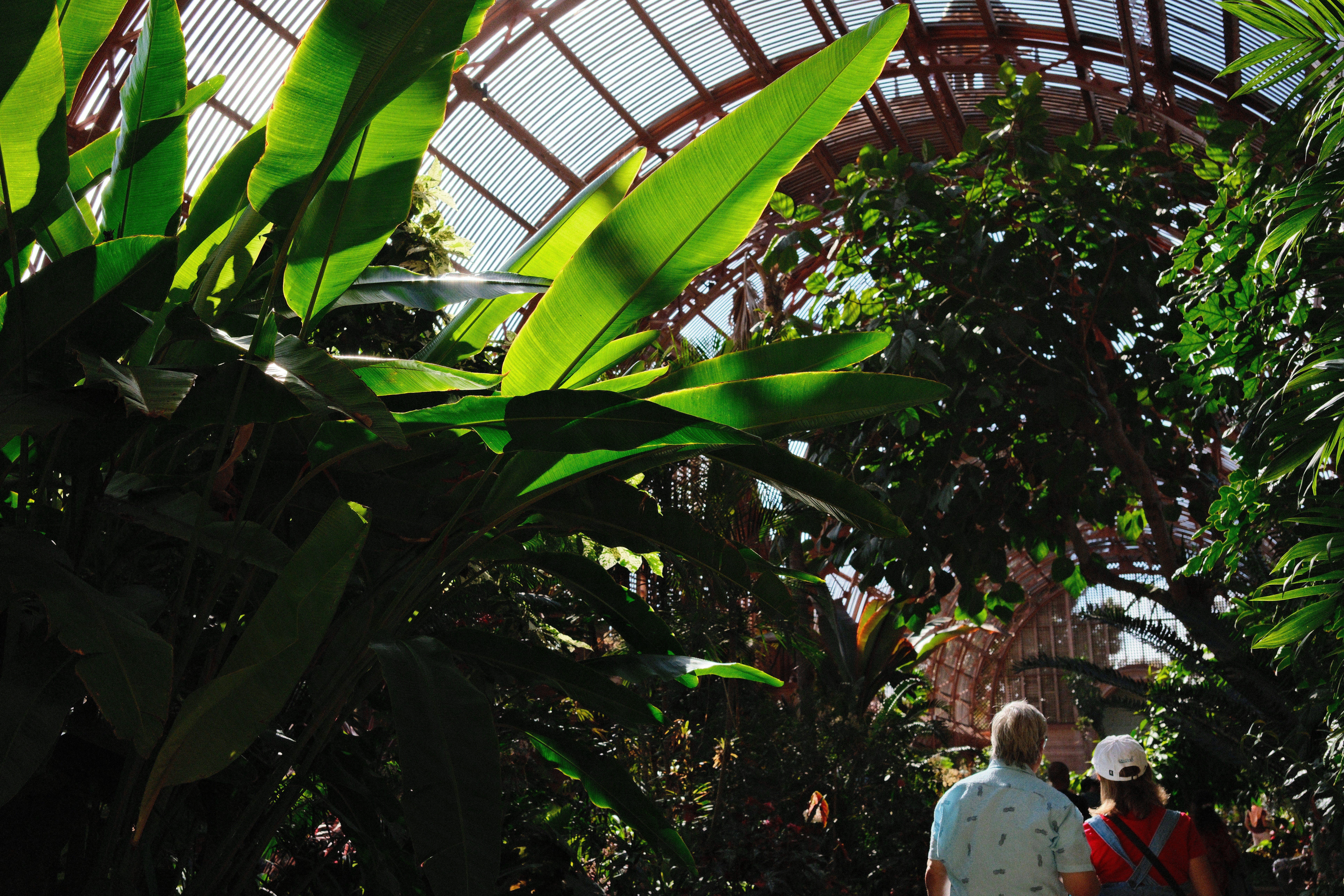 Tropical Conservatory Stroll toward the Hidden Gardeners
