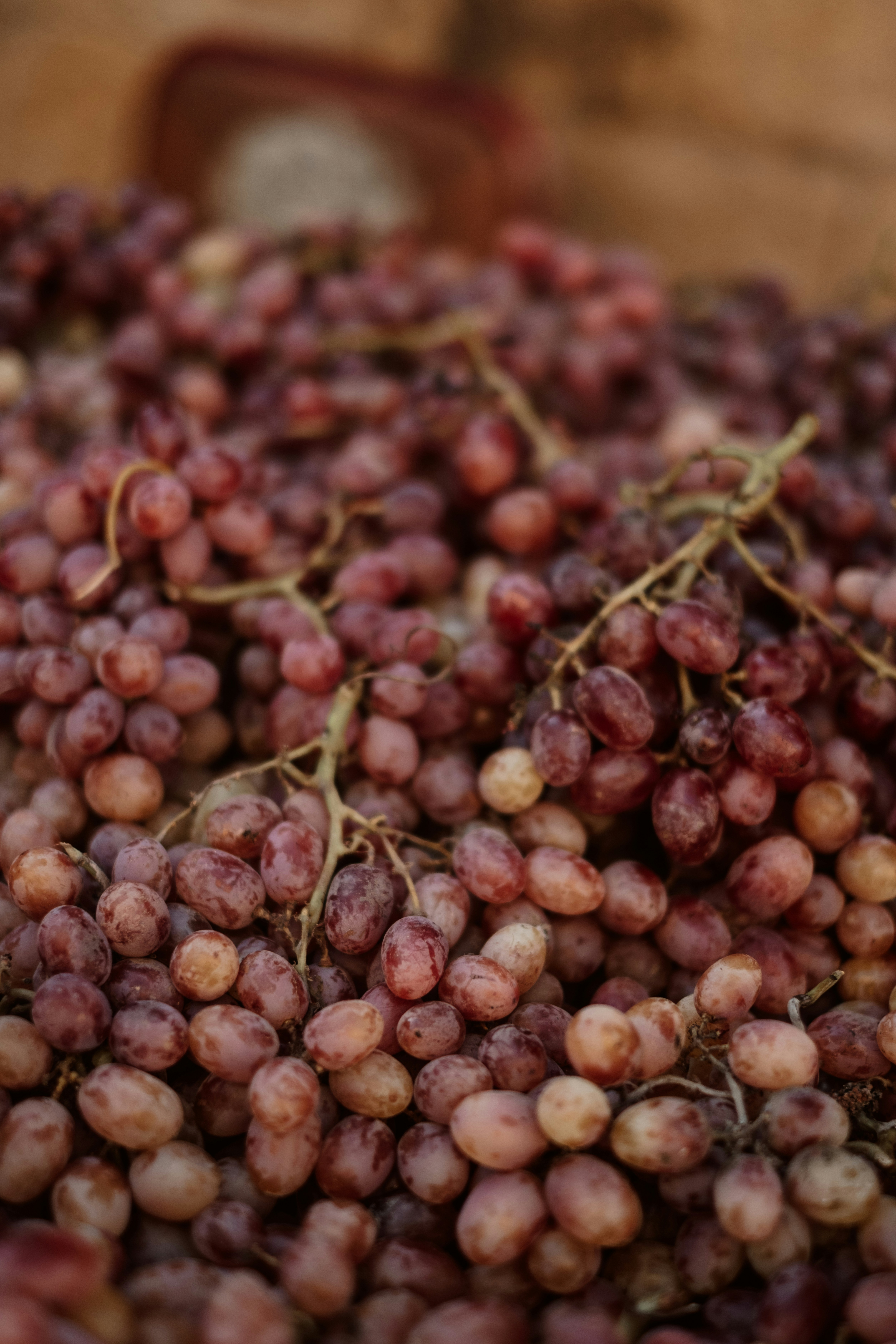 Crimson Bunches: Close-Cropped Grapes in Rustic Light