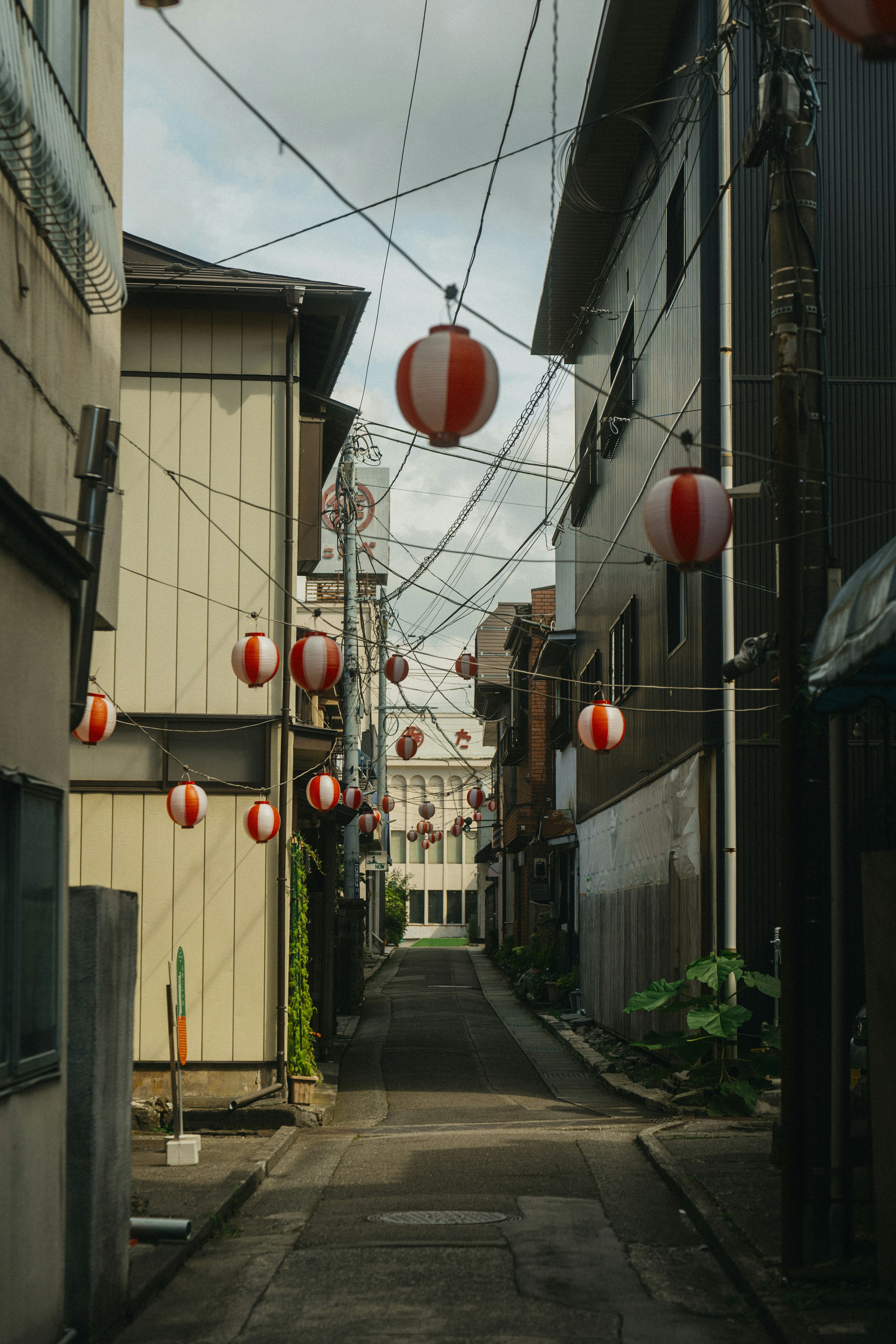 Lantern-lined Alleyway: A Quiet Burst of Red in a Narrow Japanese Street