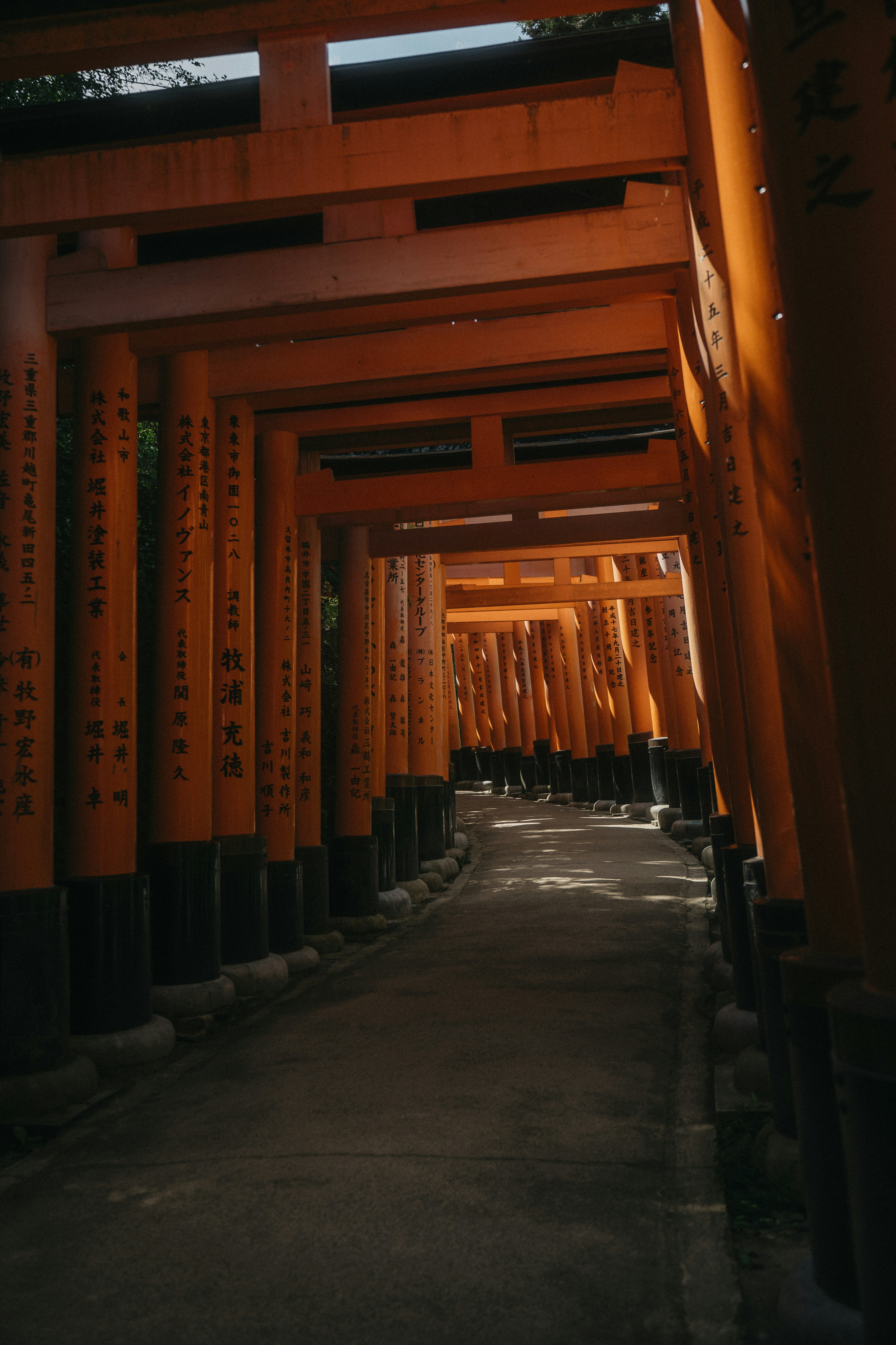 Gateway of Torii: A Sunlit Corridor of Red Columns