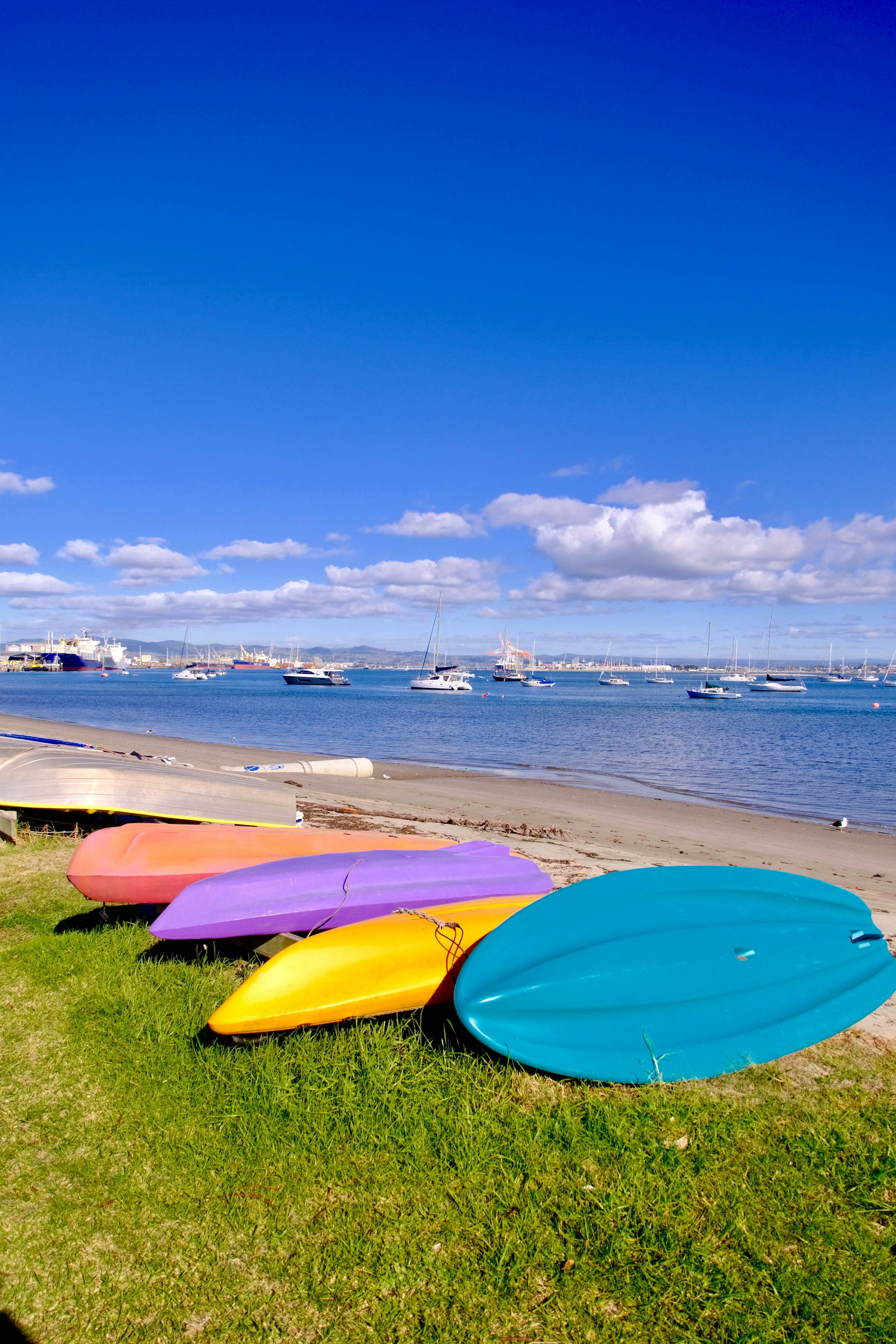 Colorful kayaks rest on sunlit grass as boats dot a calm harbor