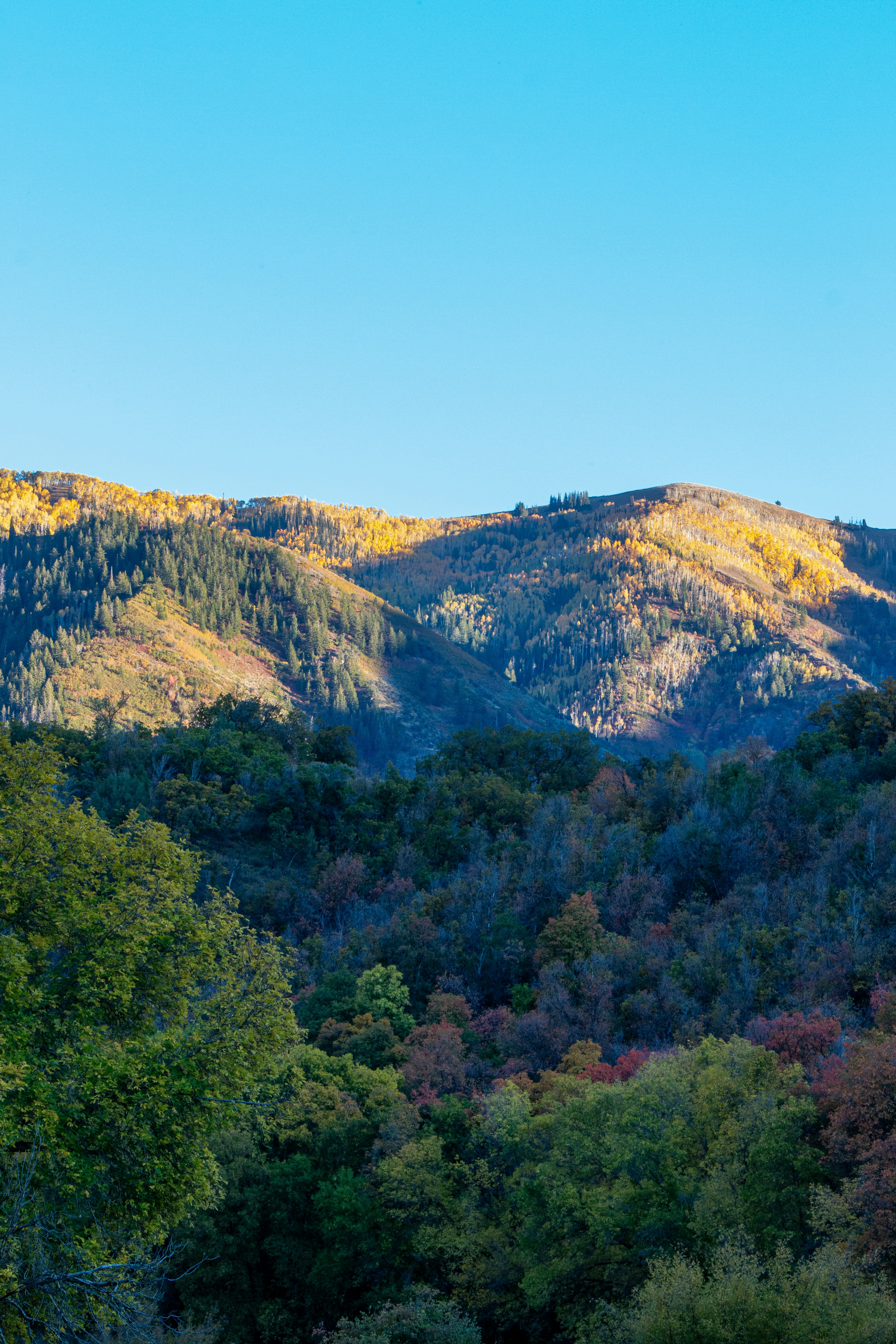 Sunlit Crest: Autumn Hills Over a Quiet Valley
