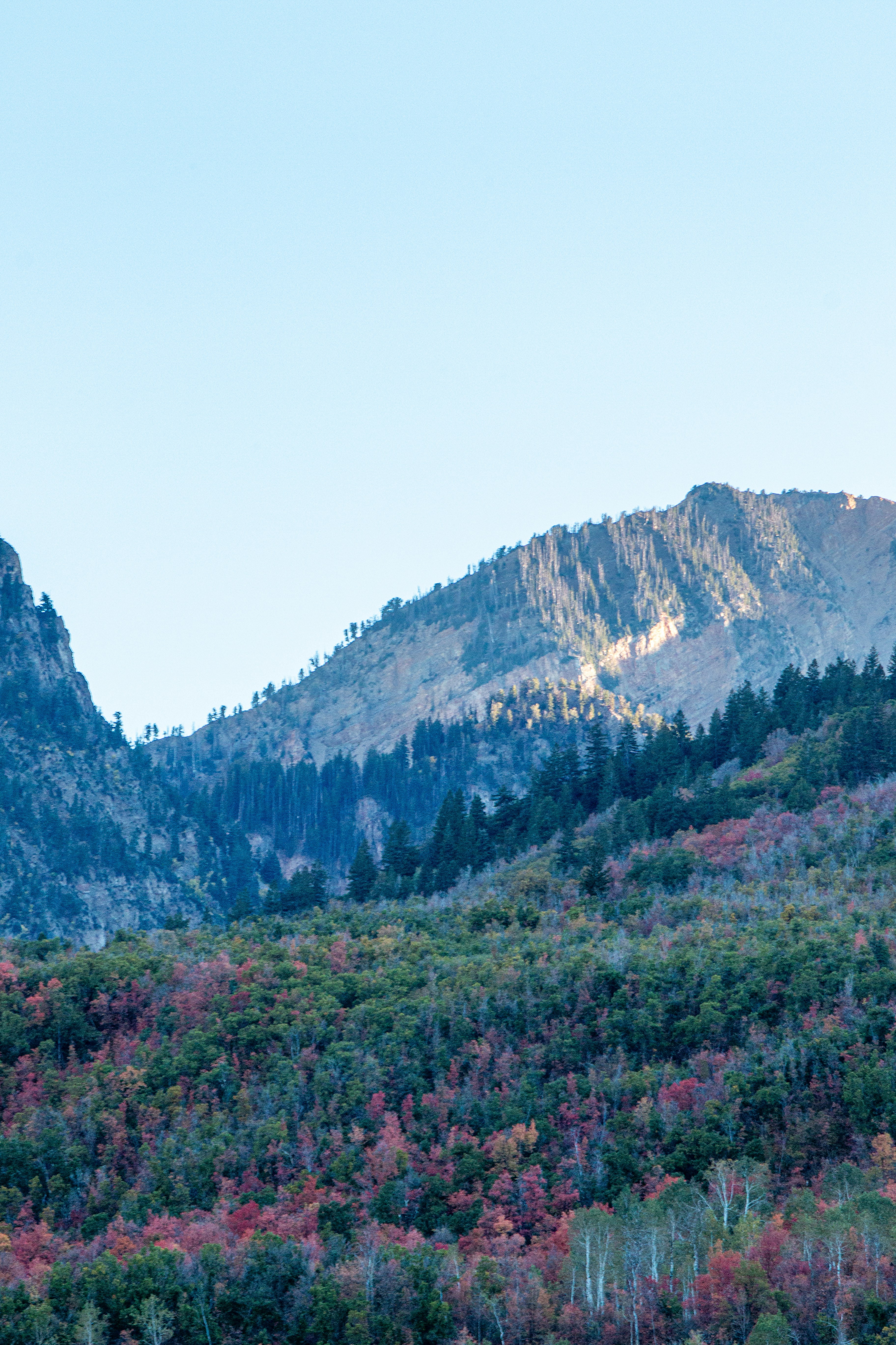 Autumn Ridge beneath a Clear Blue Sky