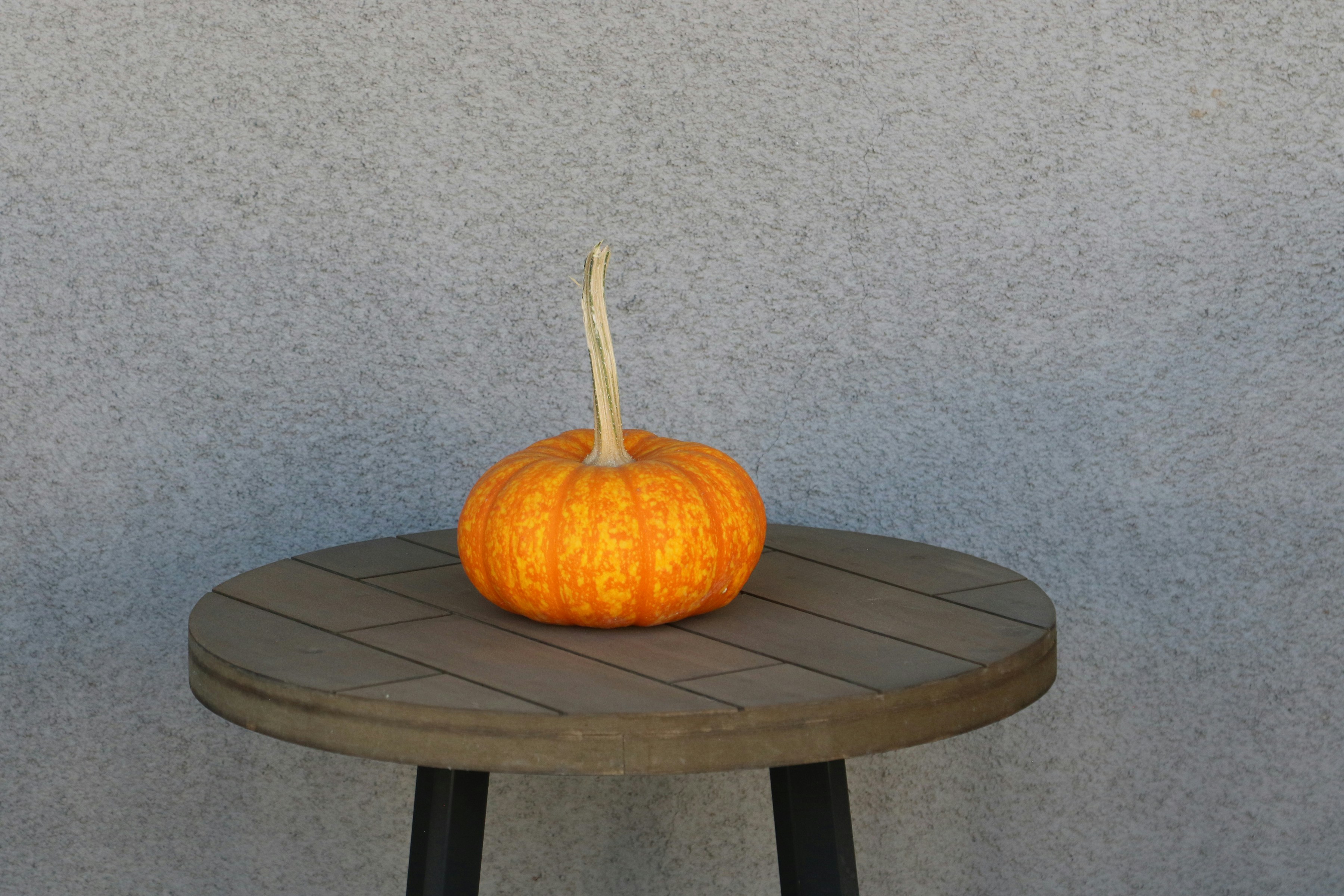Pumpkin on a Round Table: A Quiet Autumn Moment