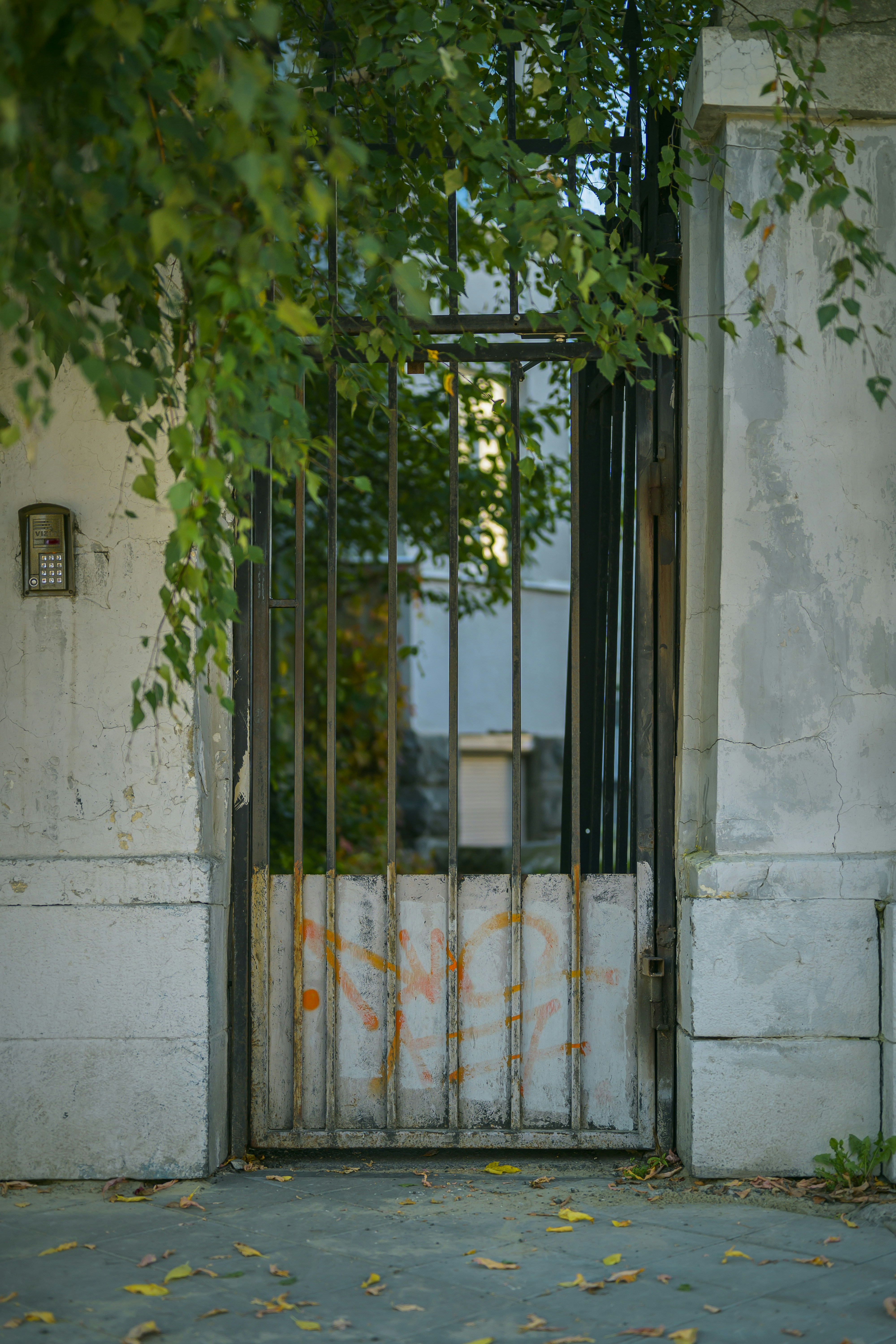 Overgrown Gate to Quiet Interior