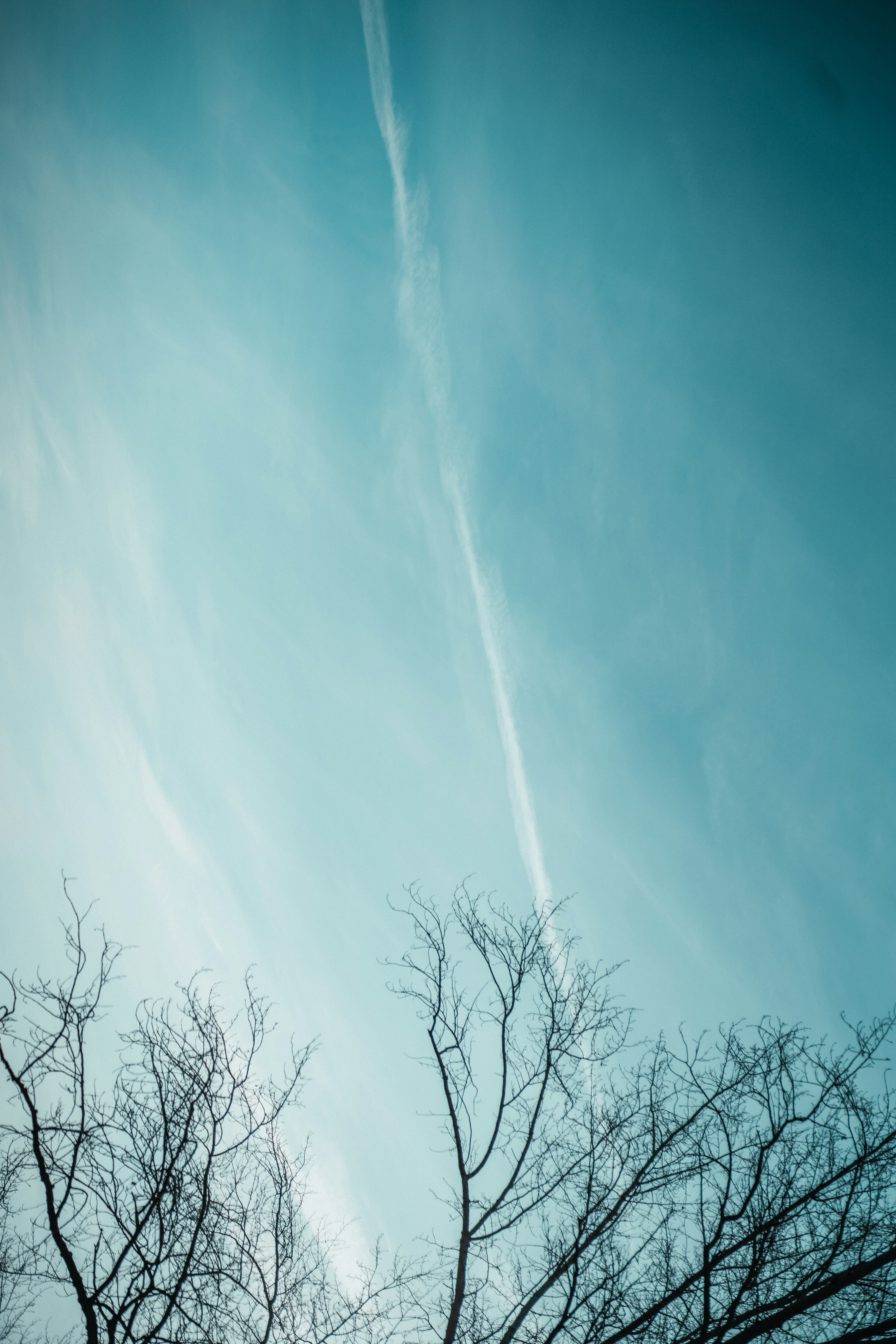 Bare tree branches reach toward a gradient blue sky with a contrail cutting diagonally across the frame. A minimal, airy composition emphasizing negative space.