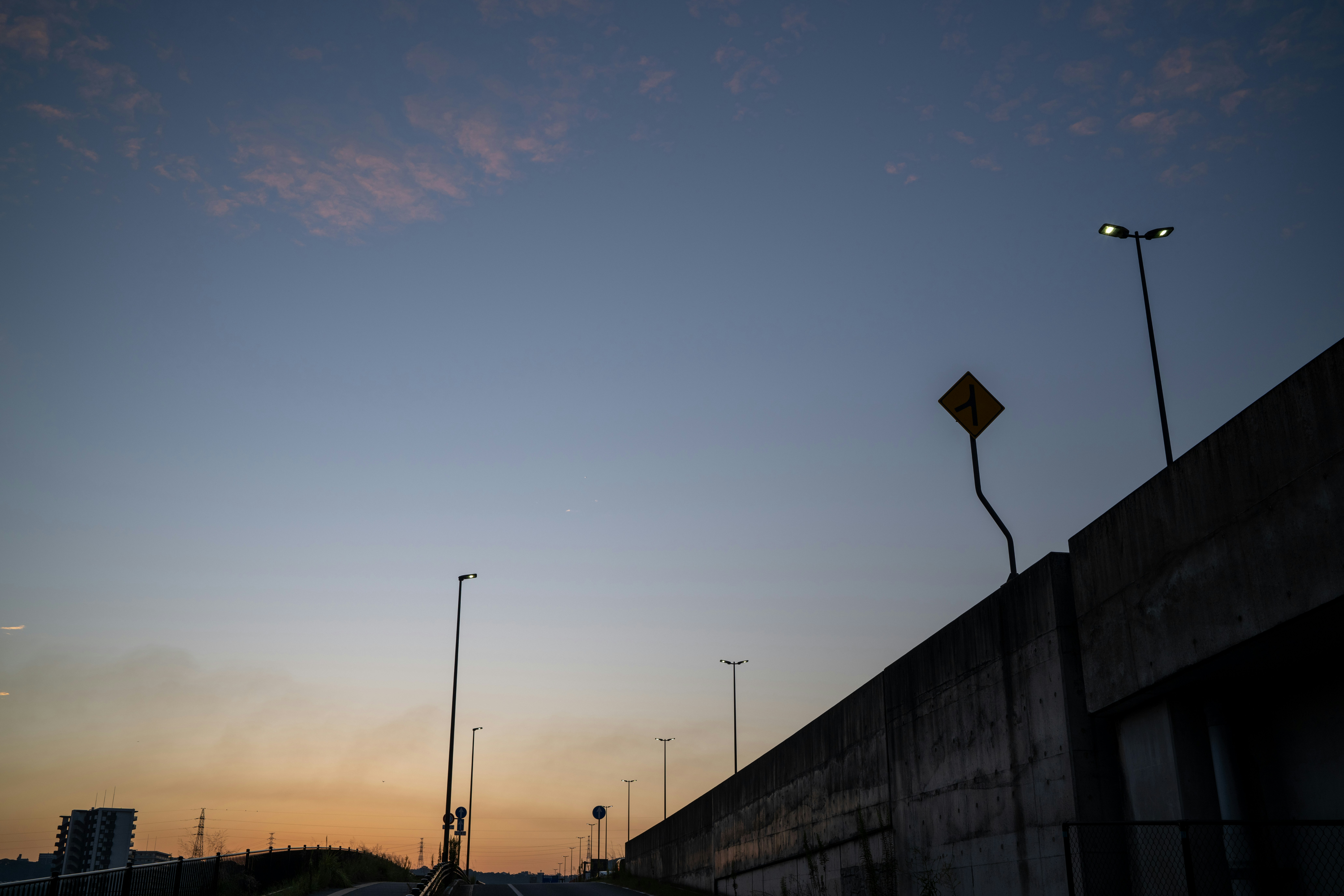 Edge of Dusk: A Quiet Highway Under Neon Streetlights
