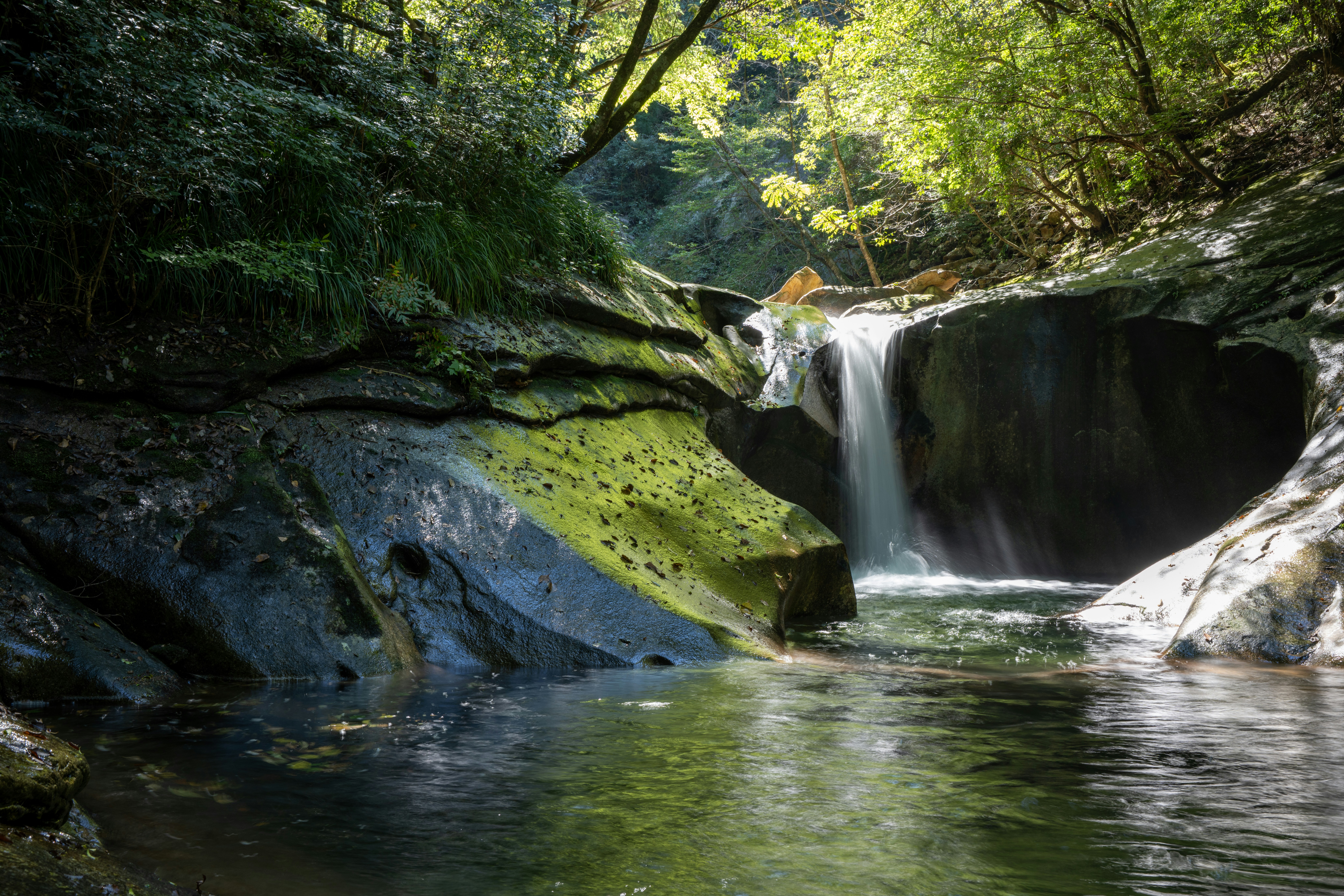 Quiet Cascade in a Moss-Chelate Grotto