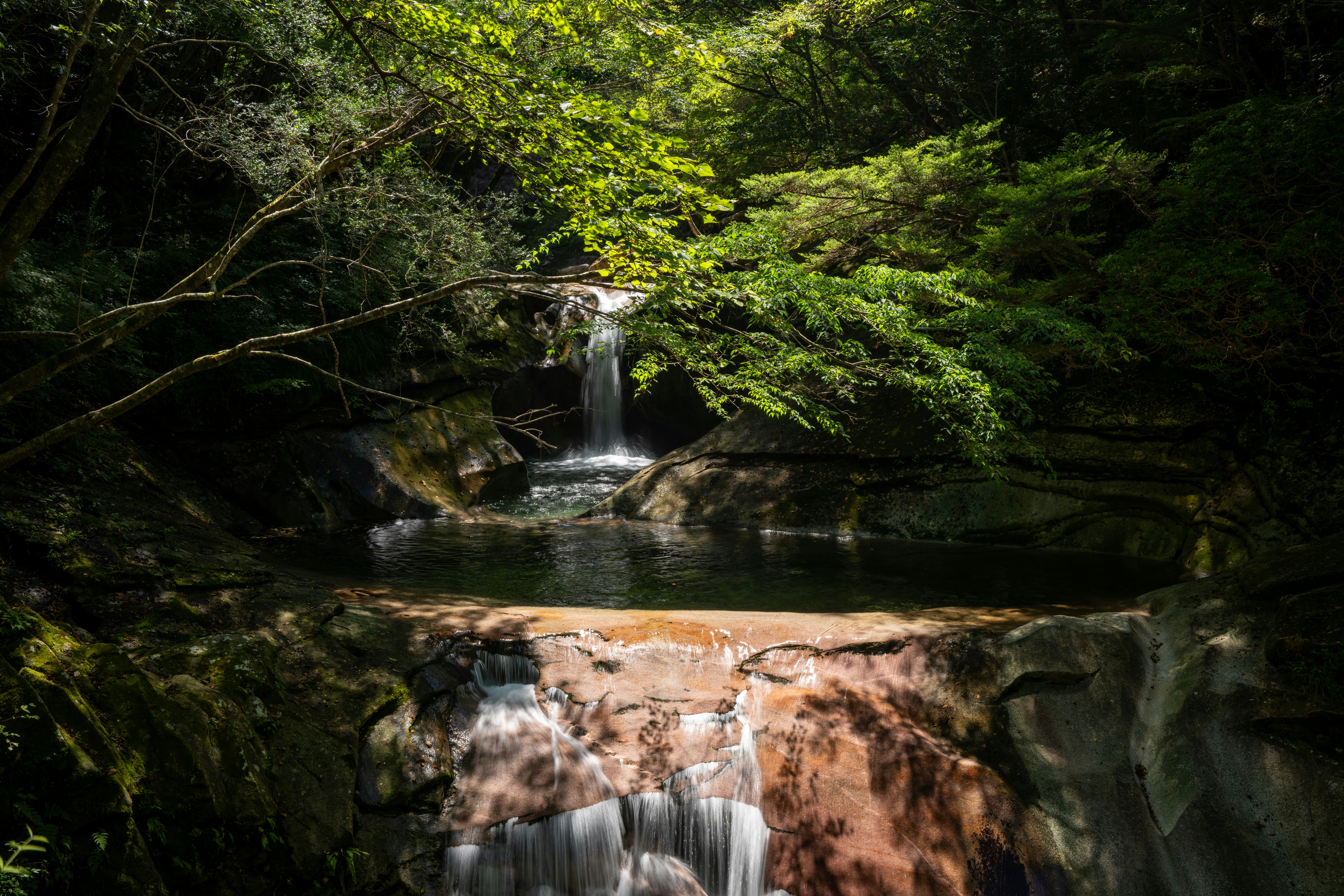 Cascade in a Quiet Grove: Sunlit Foliage Framing a Cloud of Water