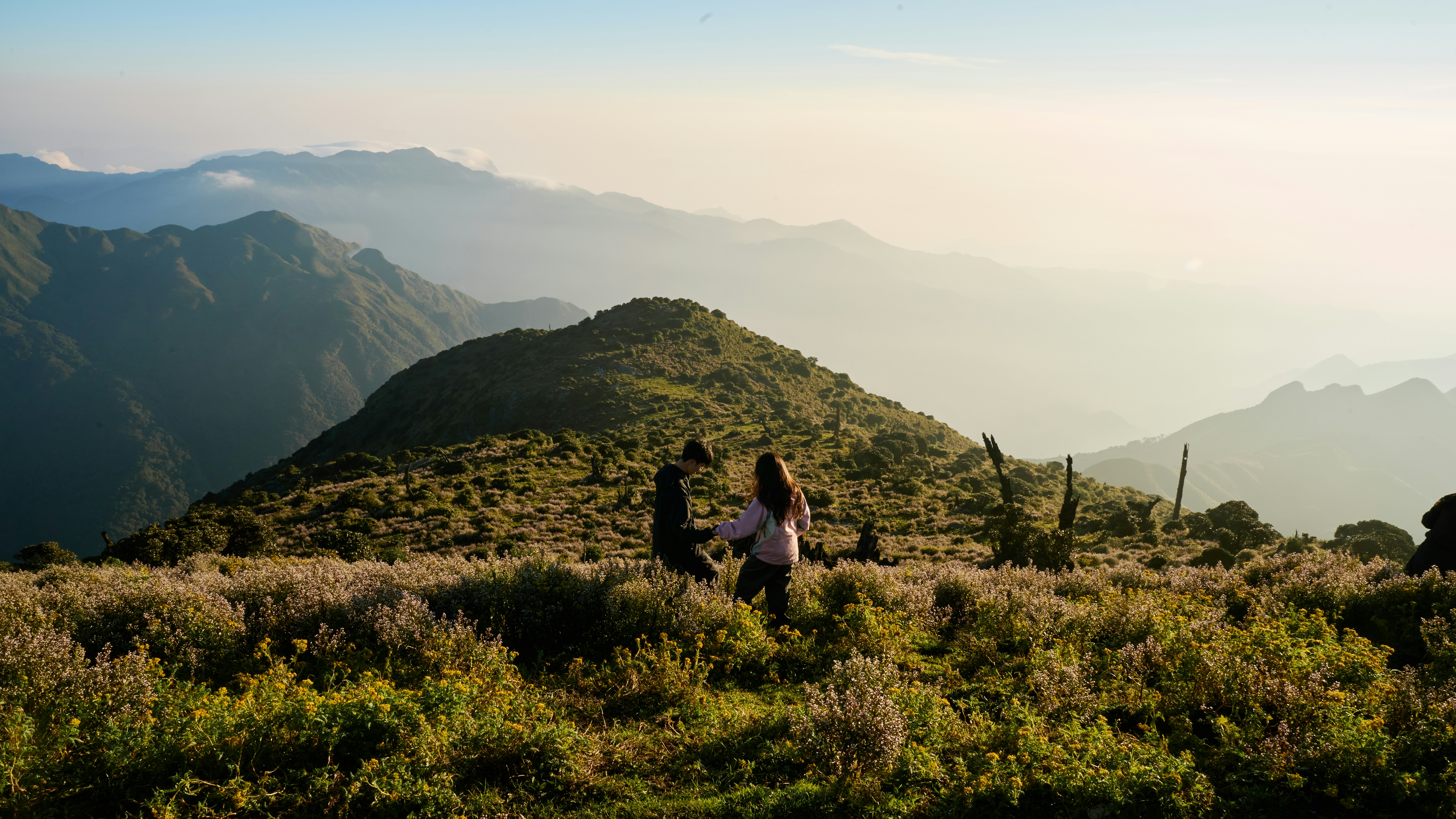 Two hikers at a sunlit summit among lavender and rolling ridges