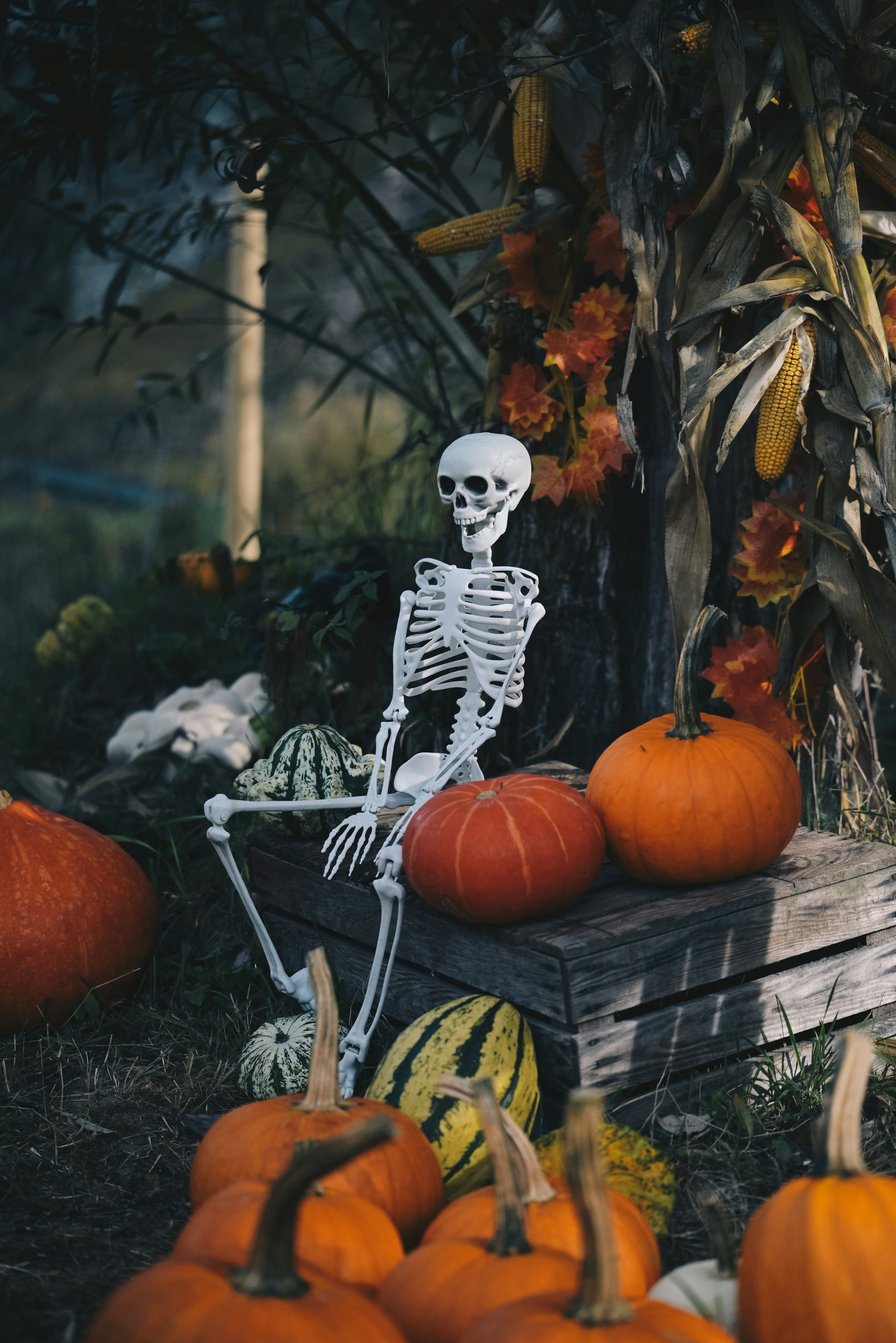 Skeleton in the Harvest: Autumn Halloween Display