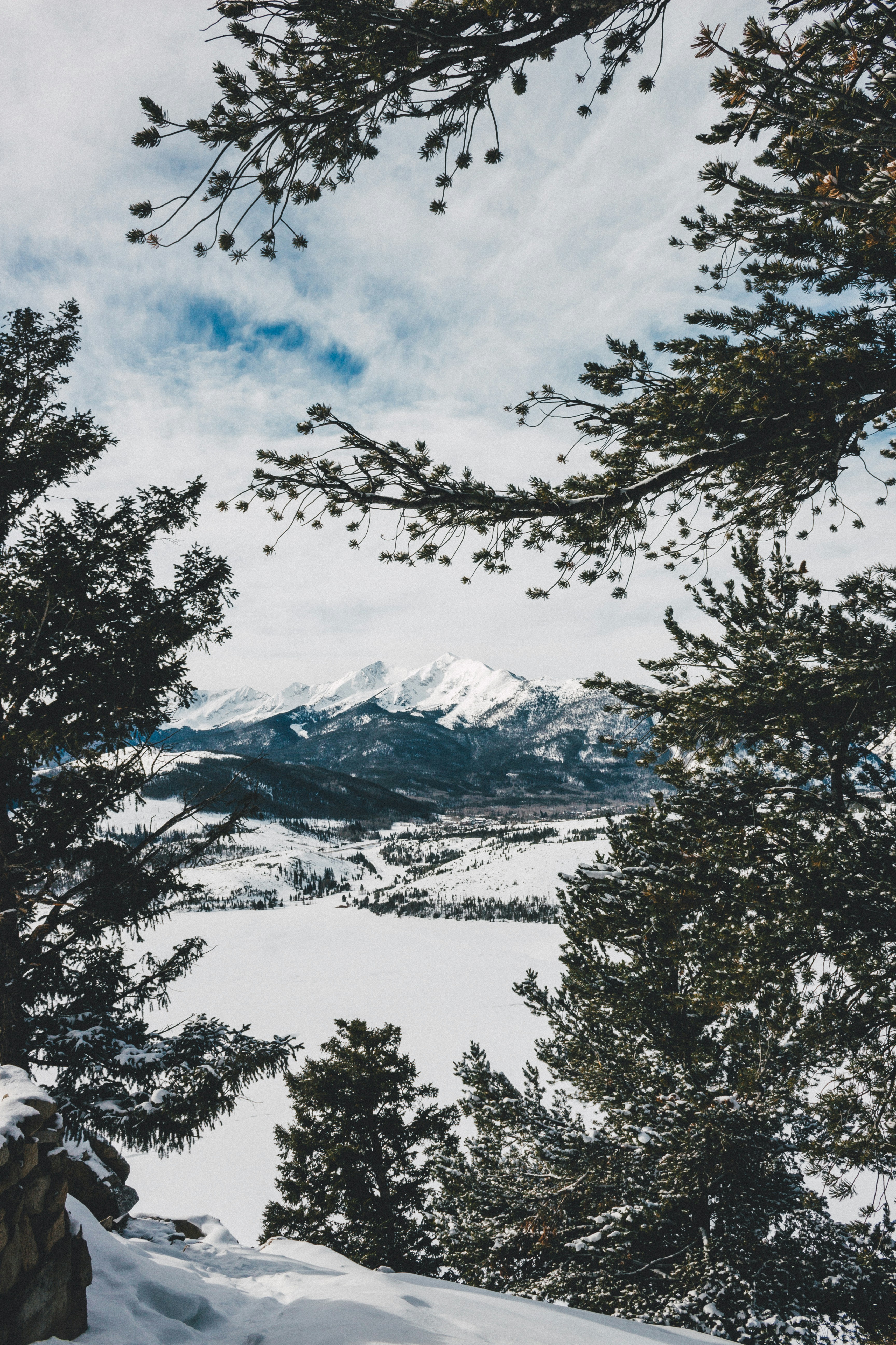Snowy View Through Framing Pines on a Mountain Terrace
