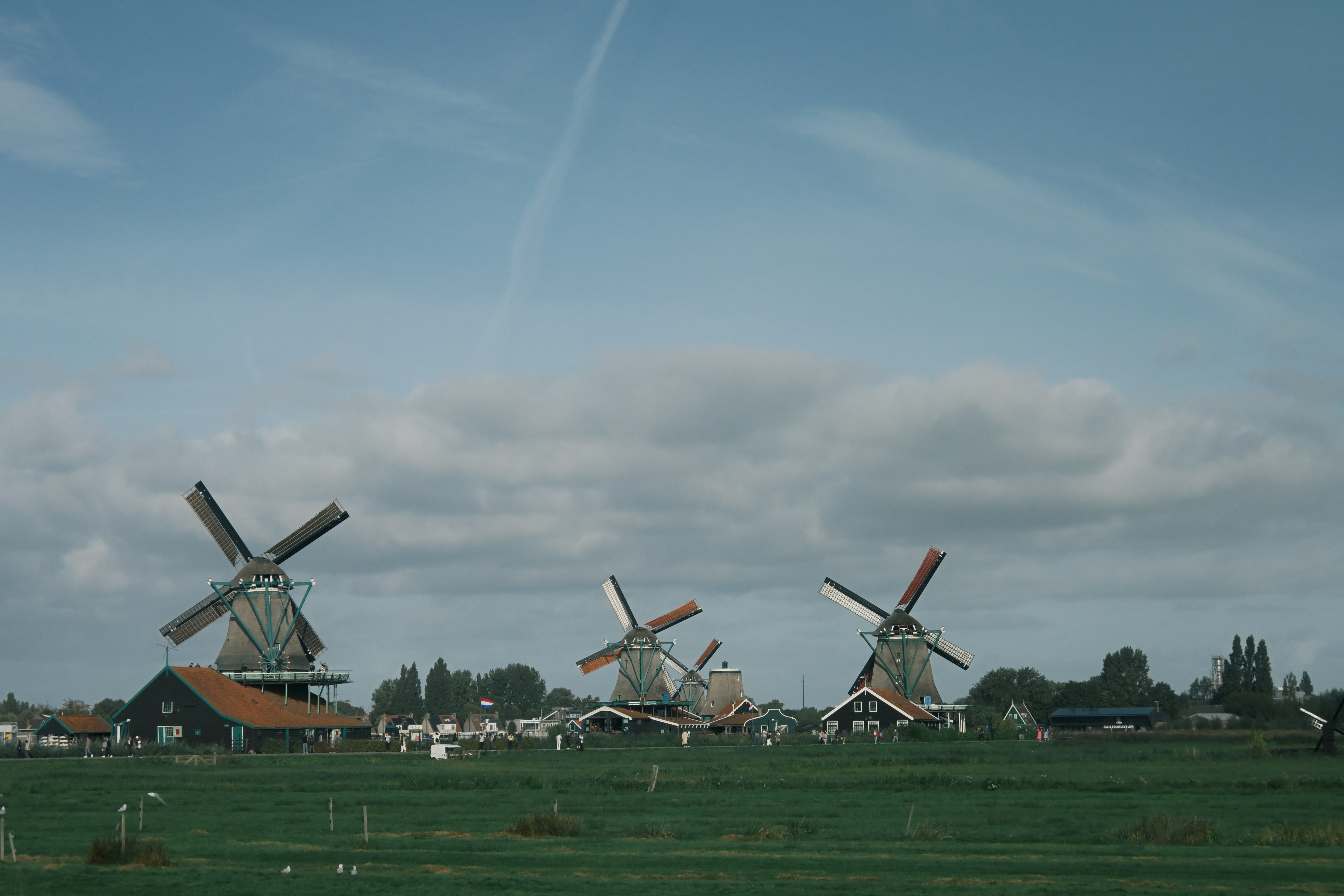 Three Windmills on a Dutch Flat: Soaring Blades and Quiet Fields