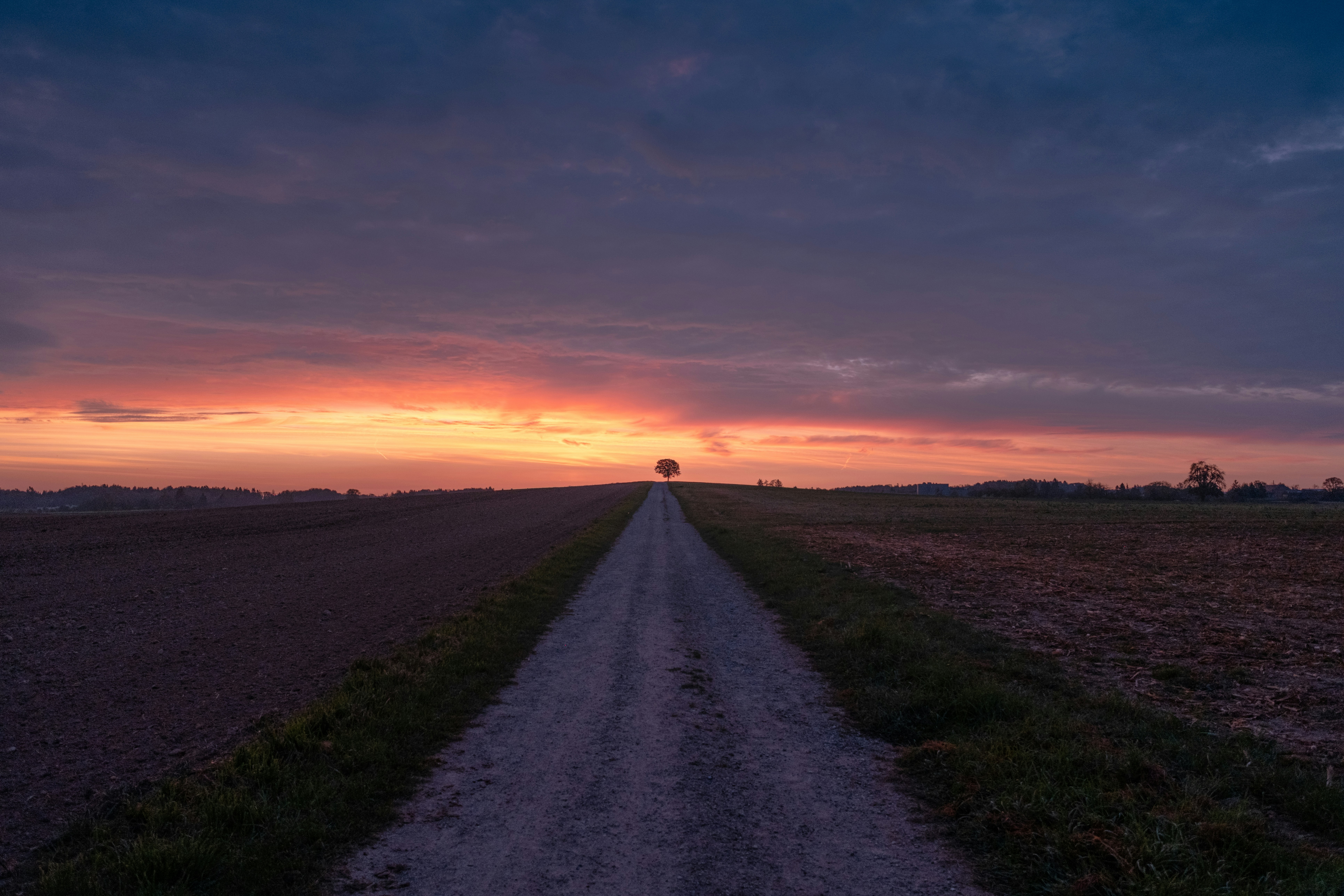 Toward the Distant Horizon: A Rural Road at Dusk