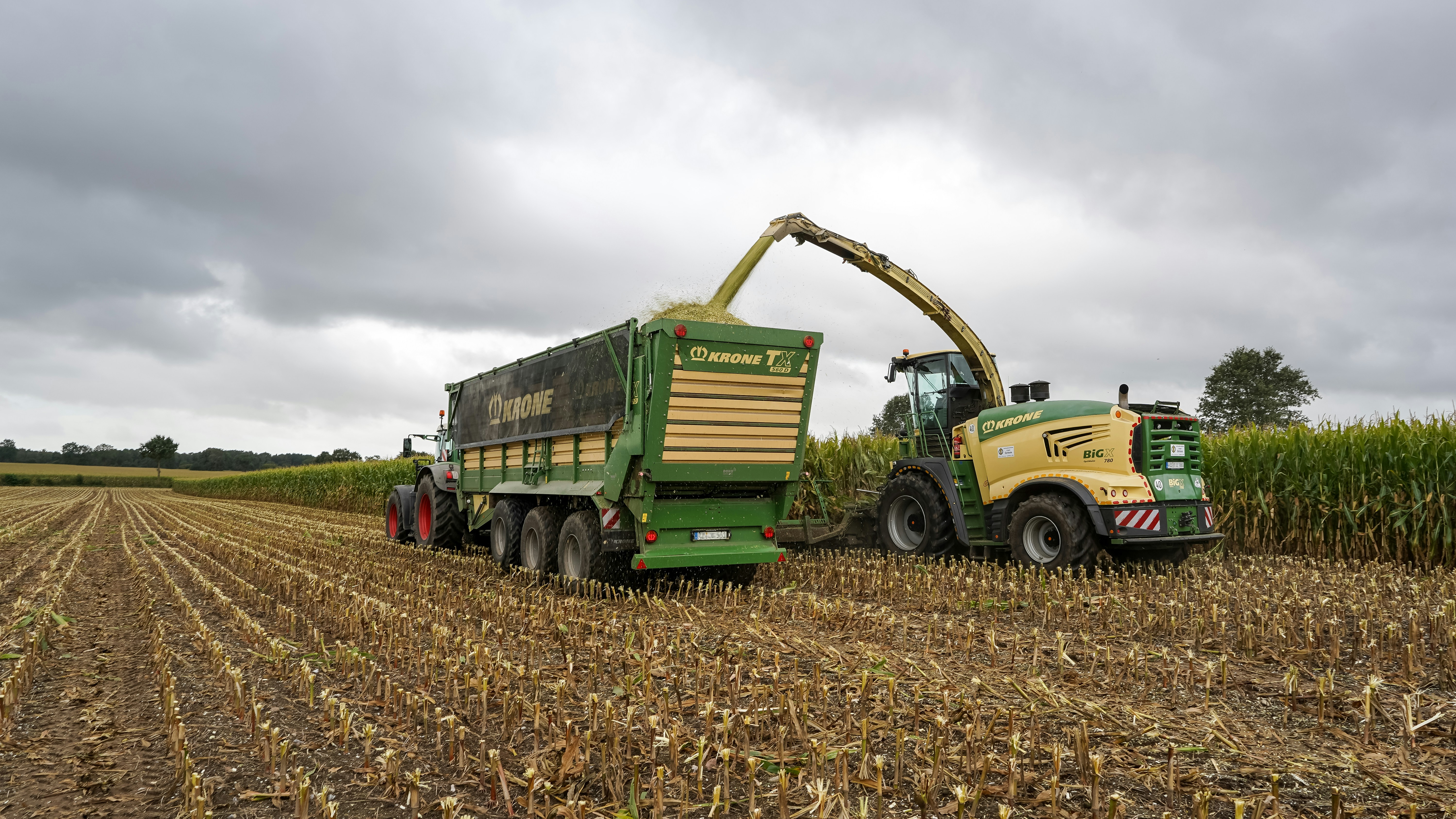 Green Harvest: A Green Tractor Steers a Corn Field to a Waiting Dump Truck