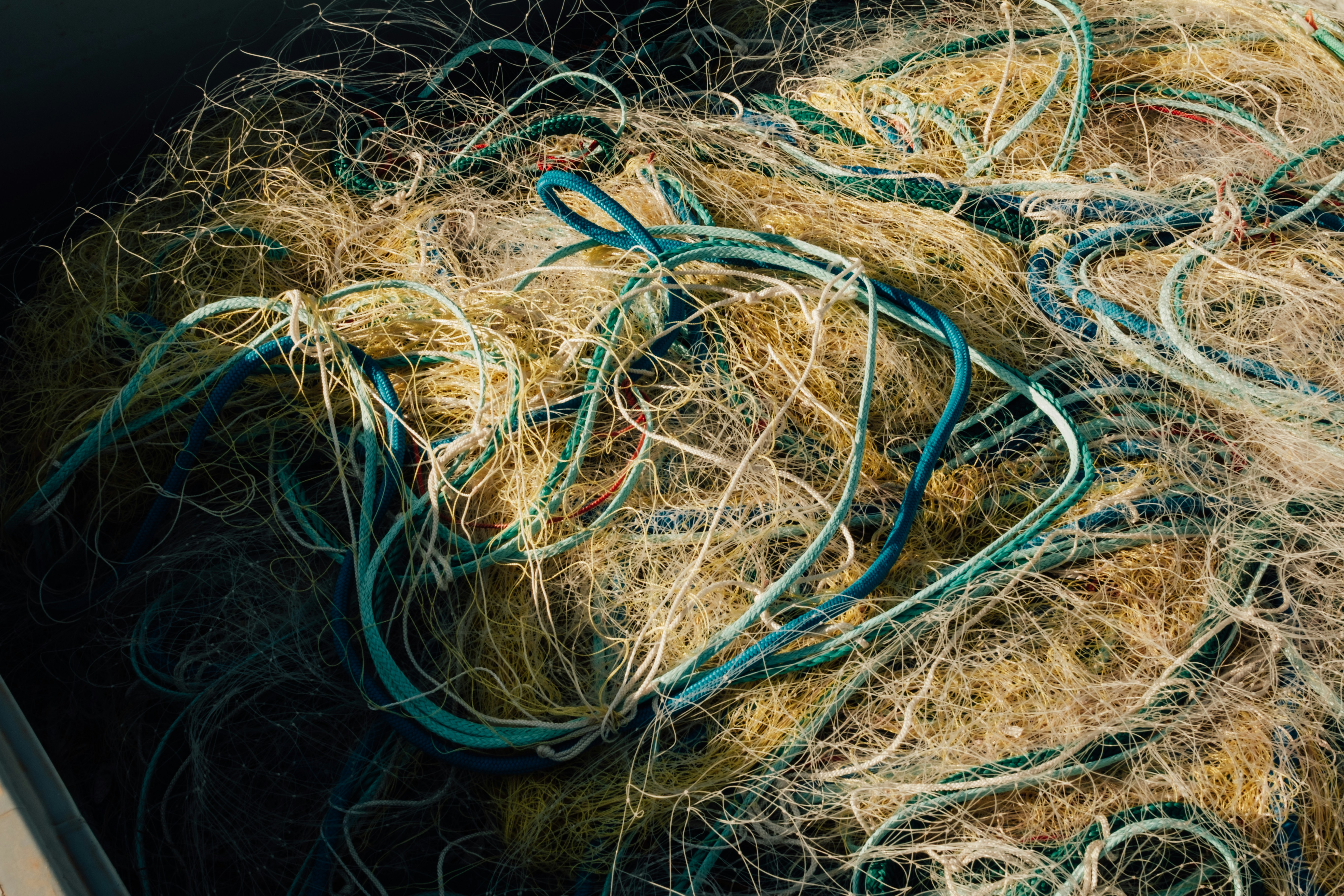 Tangled Finding: Blue Lines Among Sun-bleached Nets