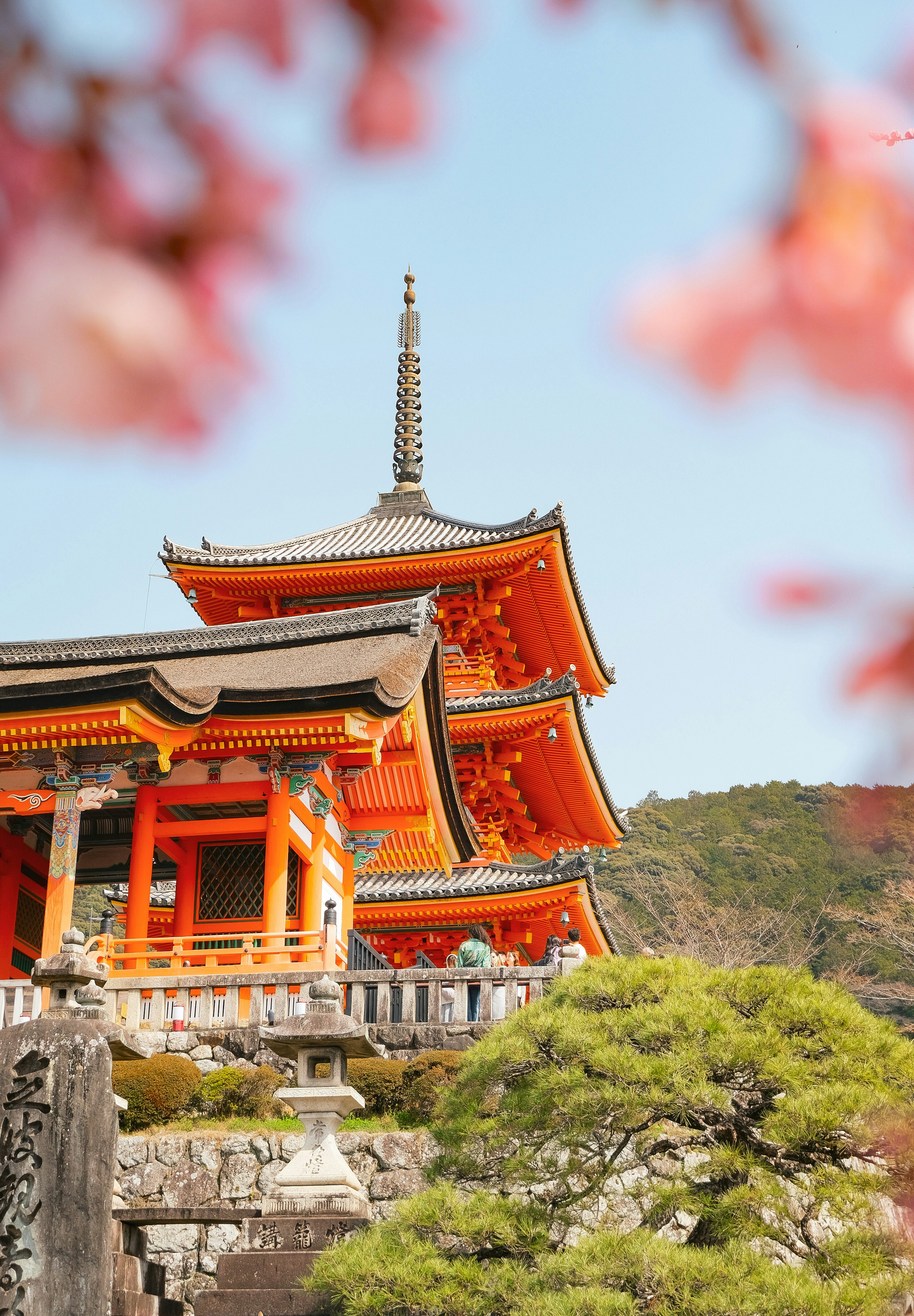 Crimson Pagoda Framed by Blossoms