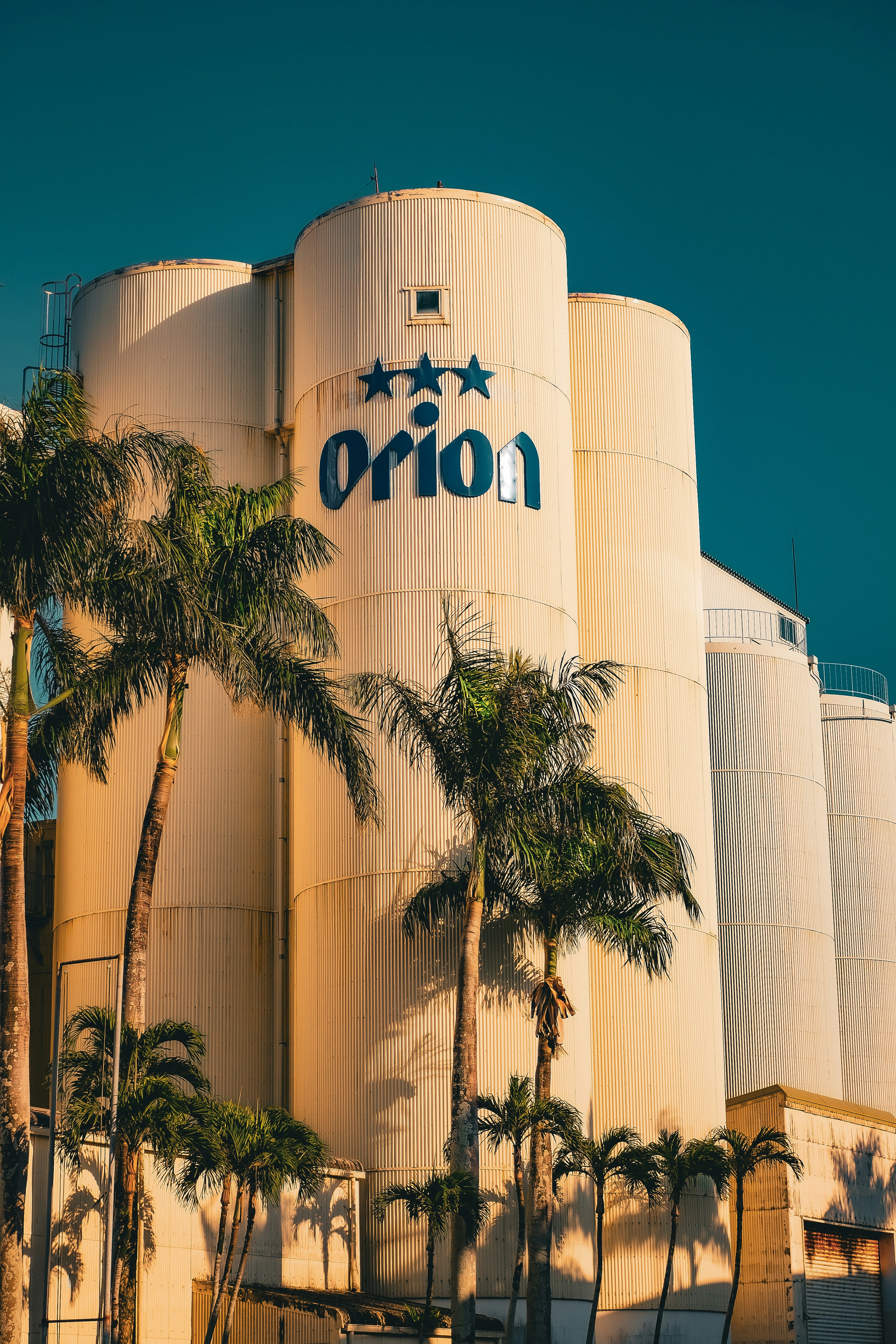 Orion Silos under Palms: Sunlit Towers and Shadowed Rows