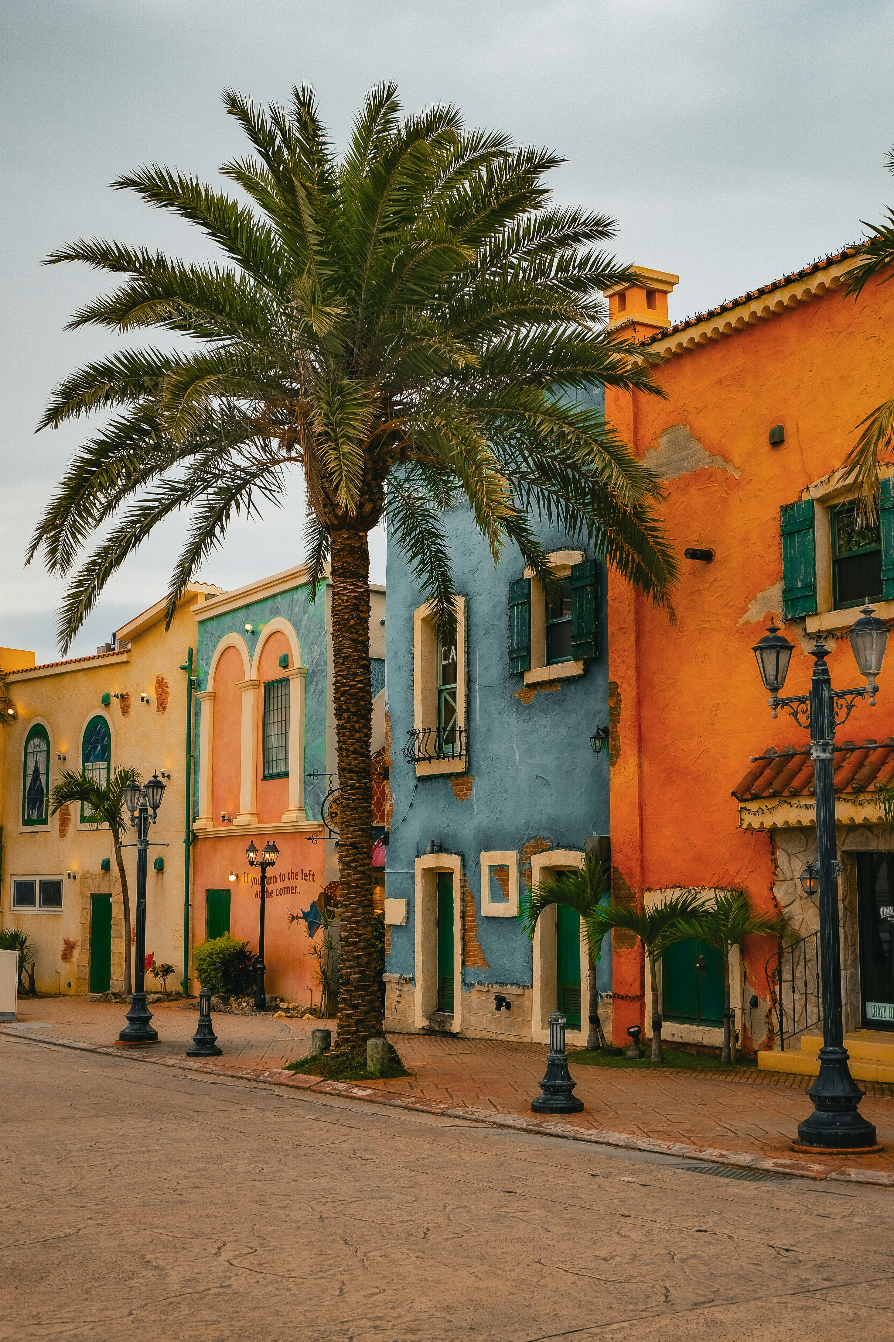 Palm Shadow and Colorful Facades in a Sunlit Street