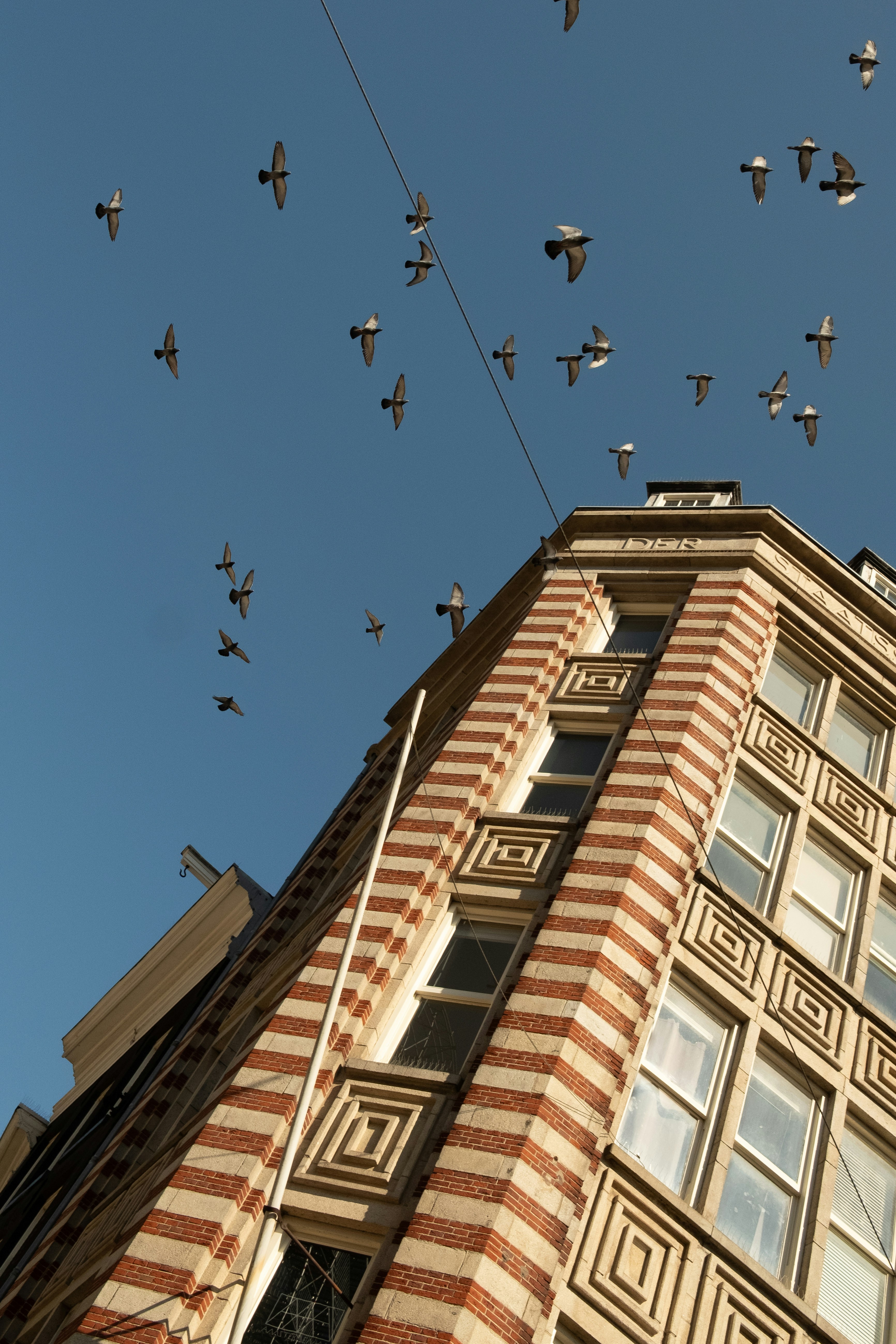 Ascending Skyward: Birds over a Brick Corner