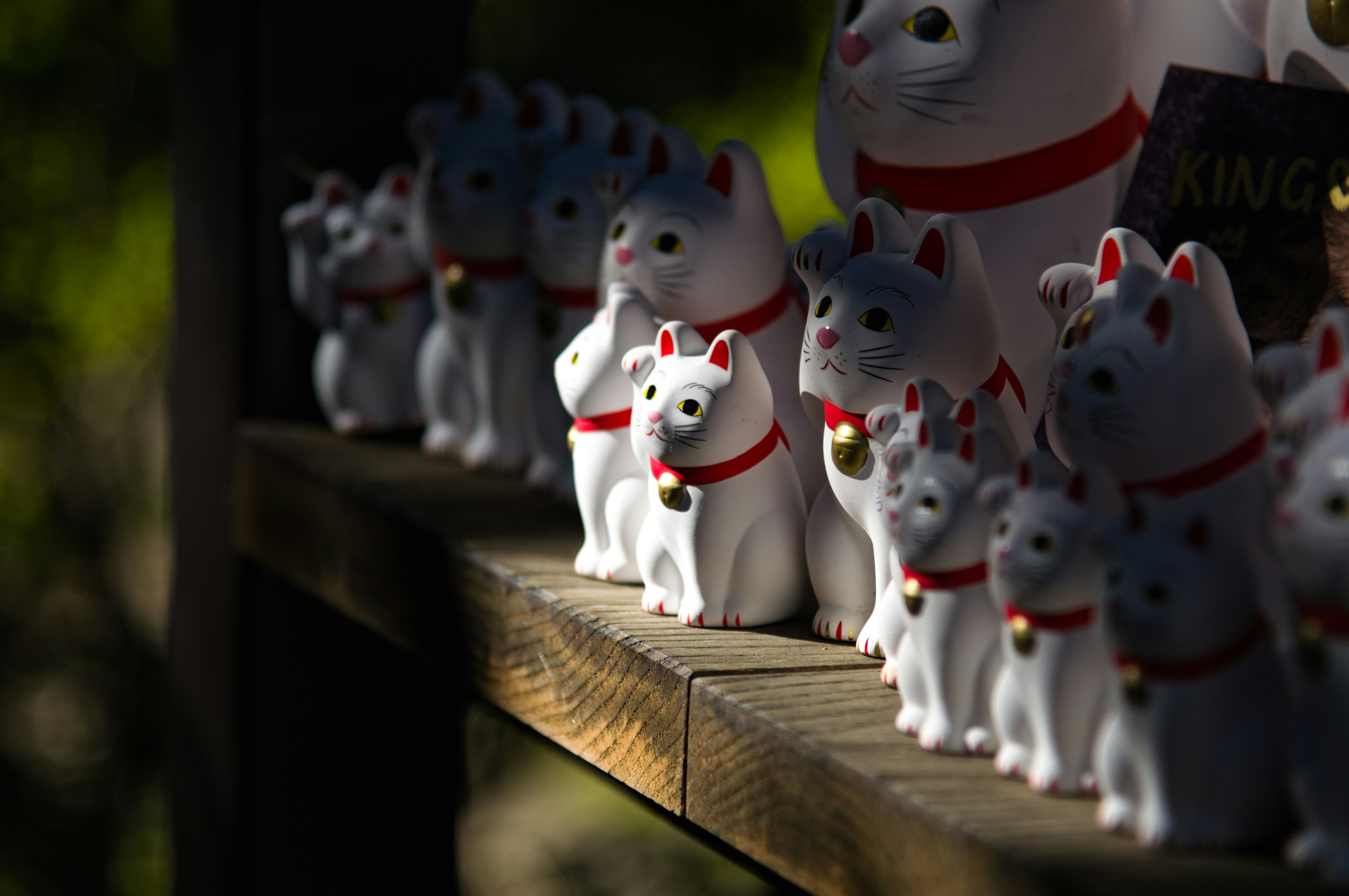 Row of Maneki-Neko Figurines in Soft Spotlight on a Wooden Shelf
