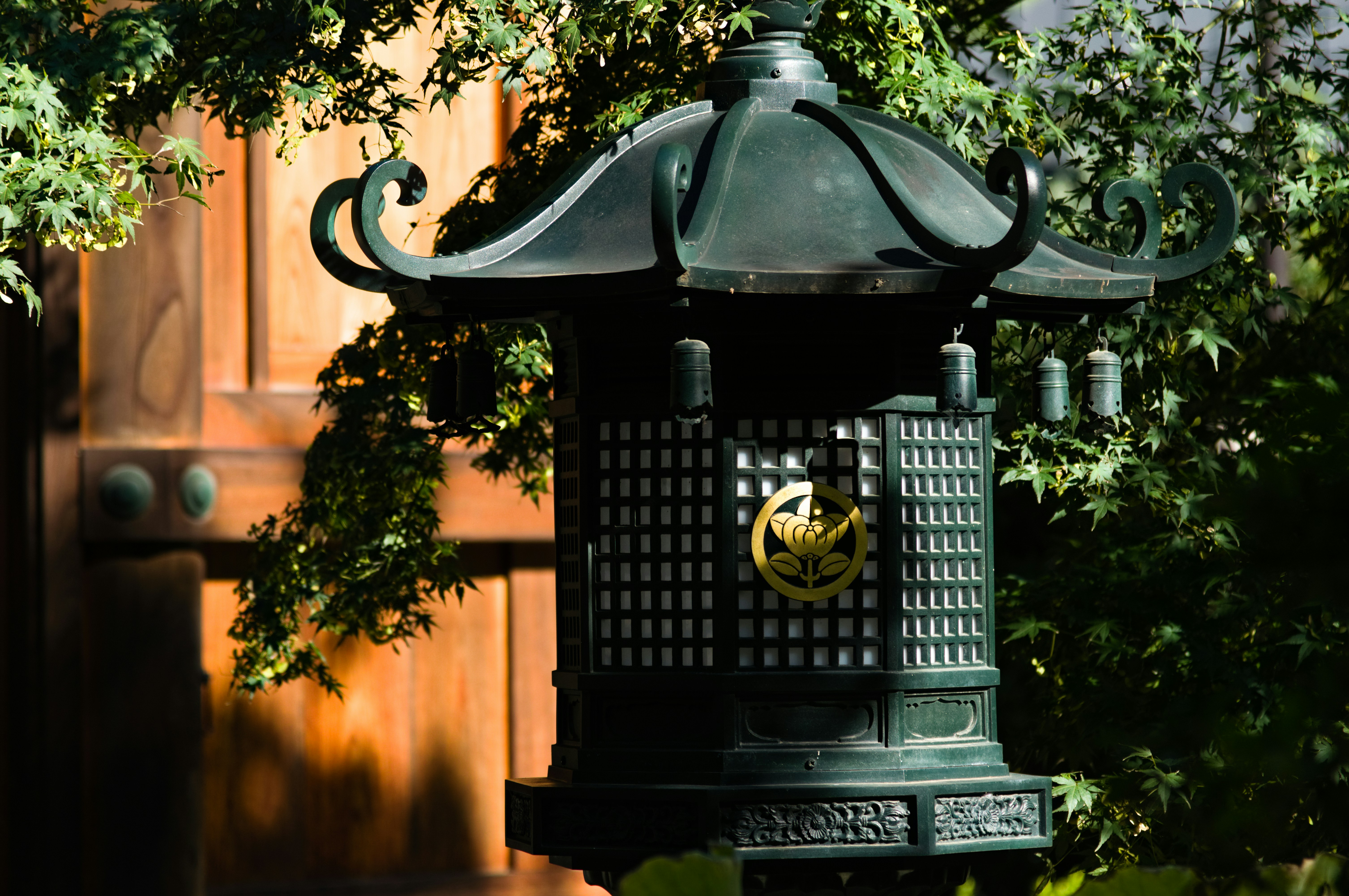 Lantern of Pines: a Quiet Shrine in Evening Light