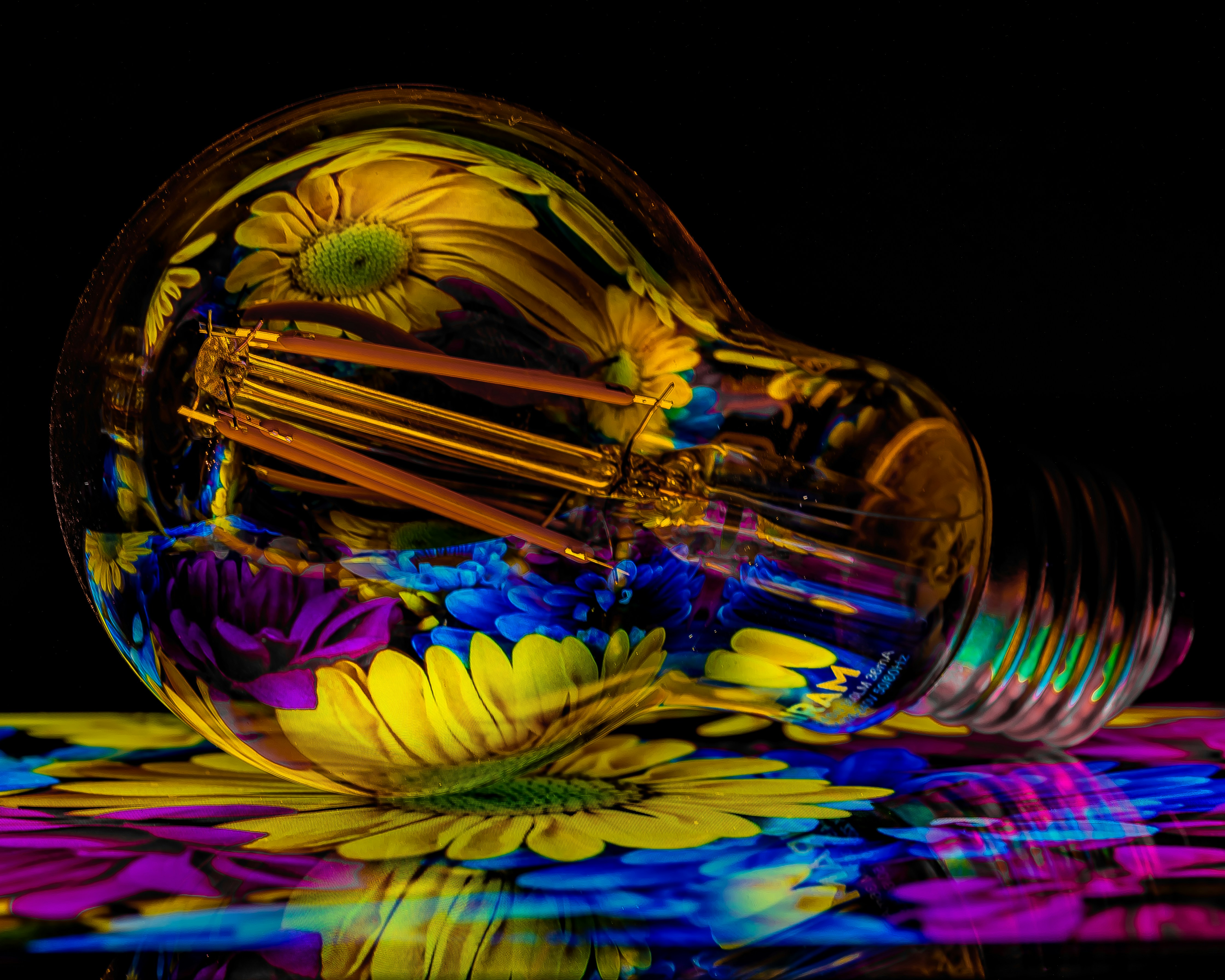 Color Echoes: An Illuminated Glass Bloom