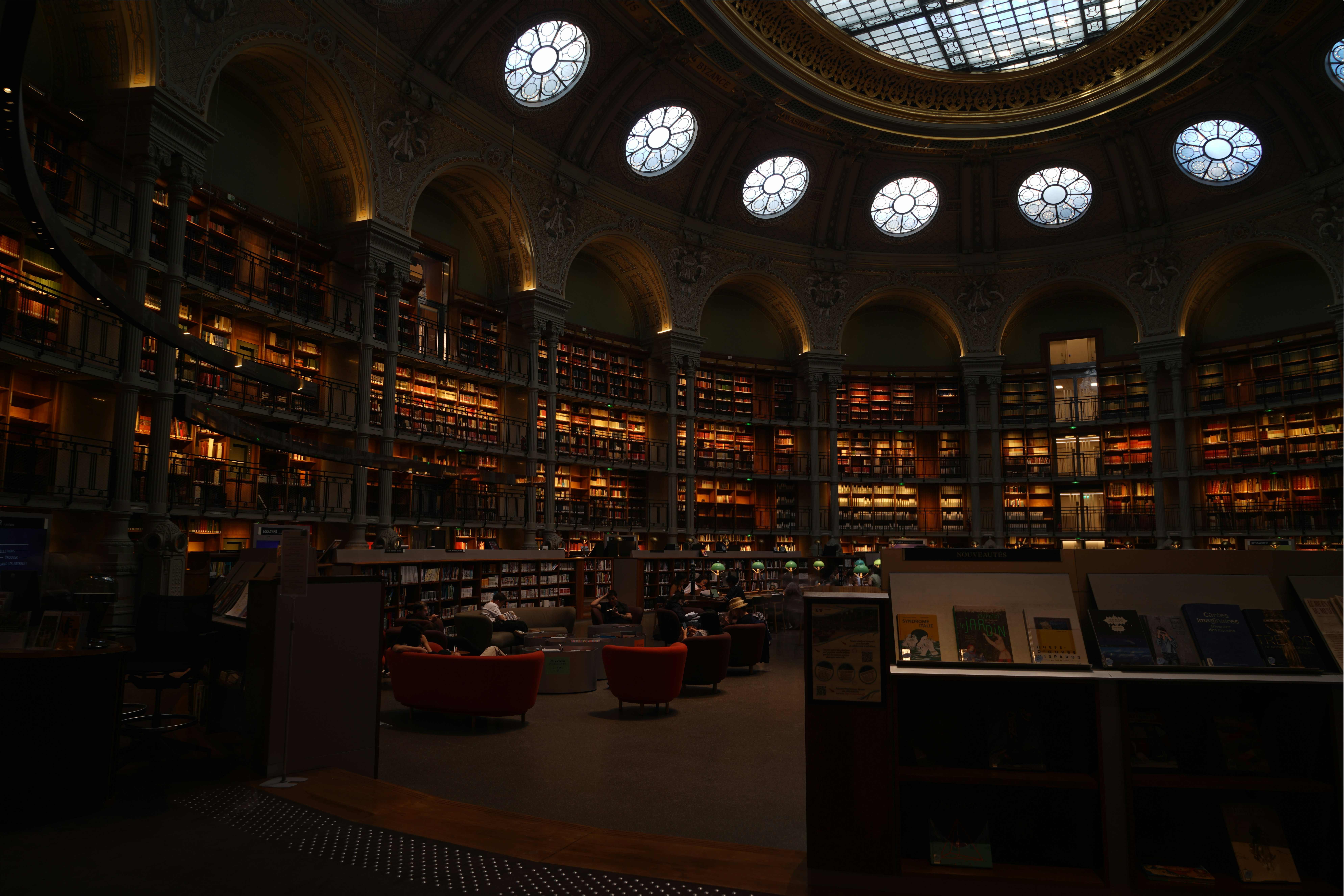 Moonlit Dome: A Quiet Library Under Circular Windows