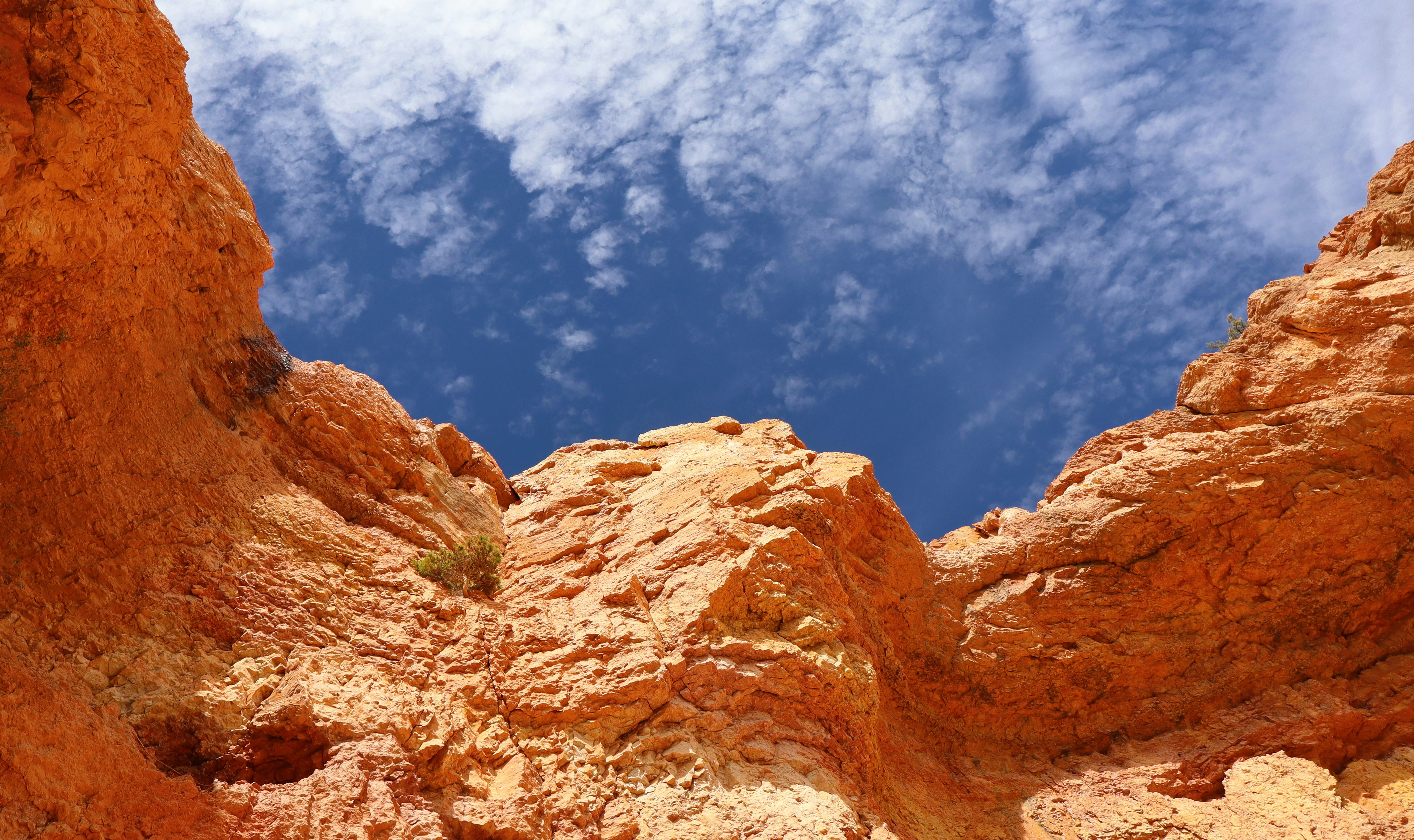 Crimson Canyon Crest Under A Cerulean Sky