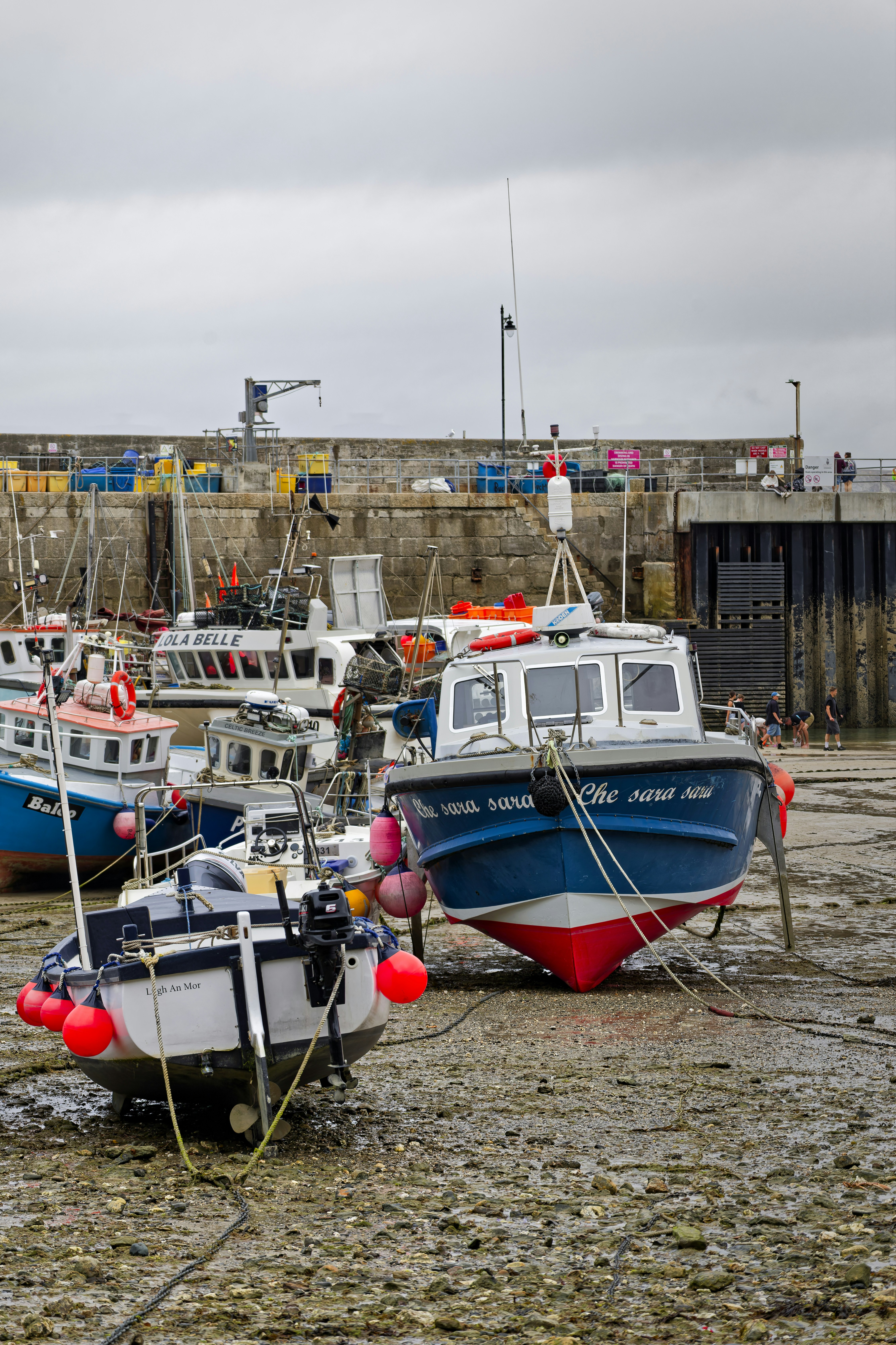 Harbor Boats at Low Tide: A Muster of Ropes and Red Buoys