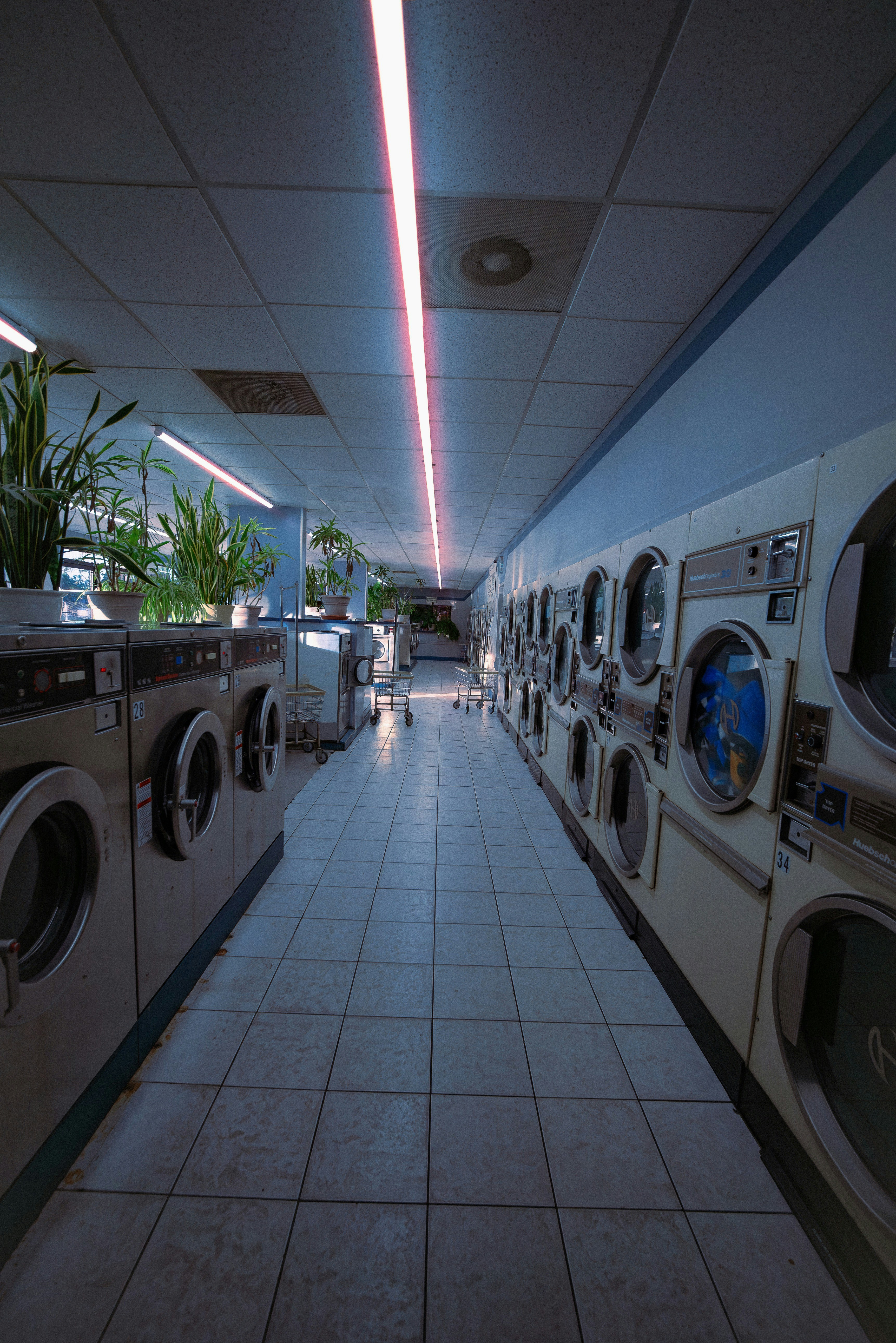 Neon-lit laundromat aisle with row of front-loading machines along both walls and potted plants on the counter, receding into the distance.