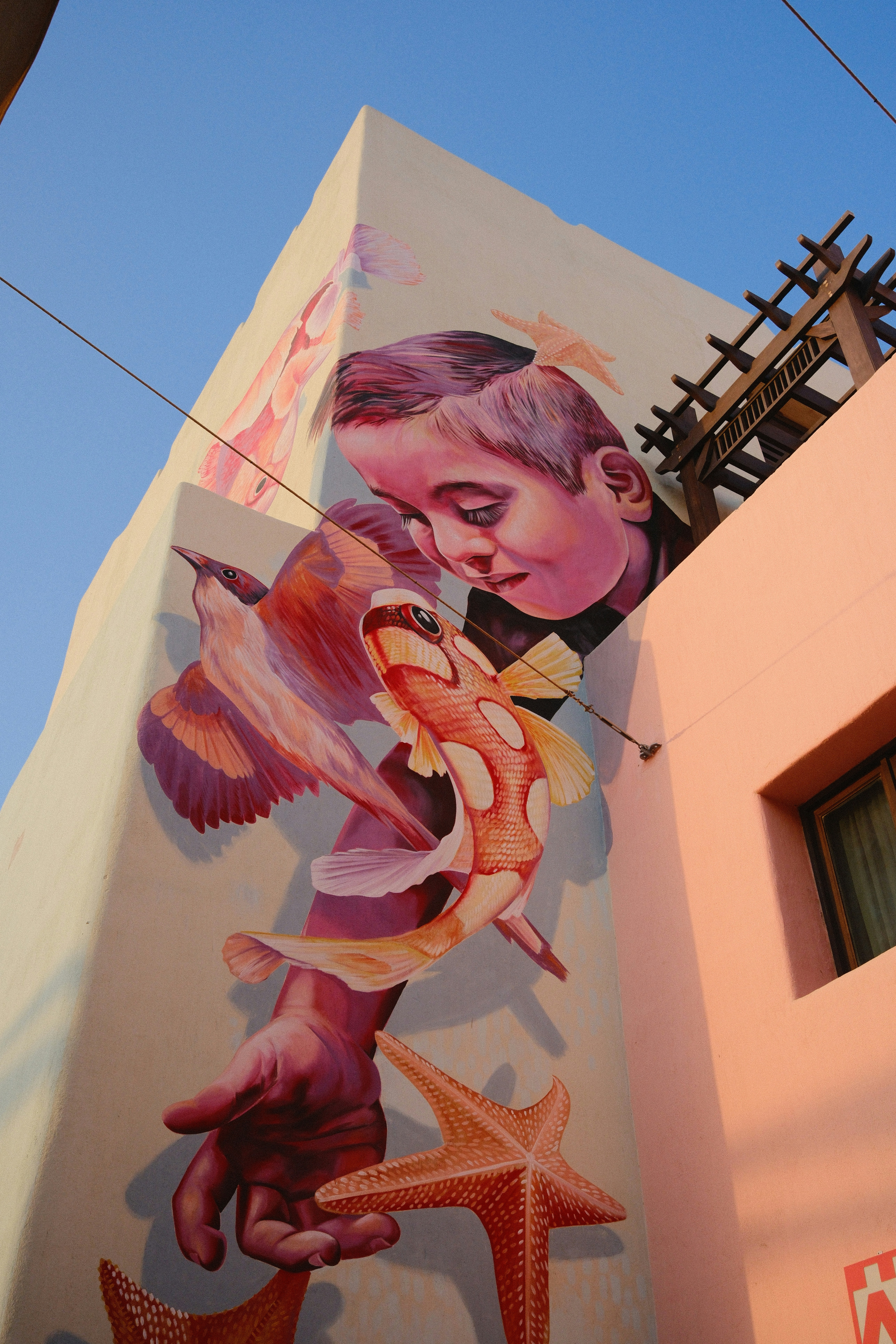 Child’s Dreamscape: A Muralscape of Birds, Fish, and Fins